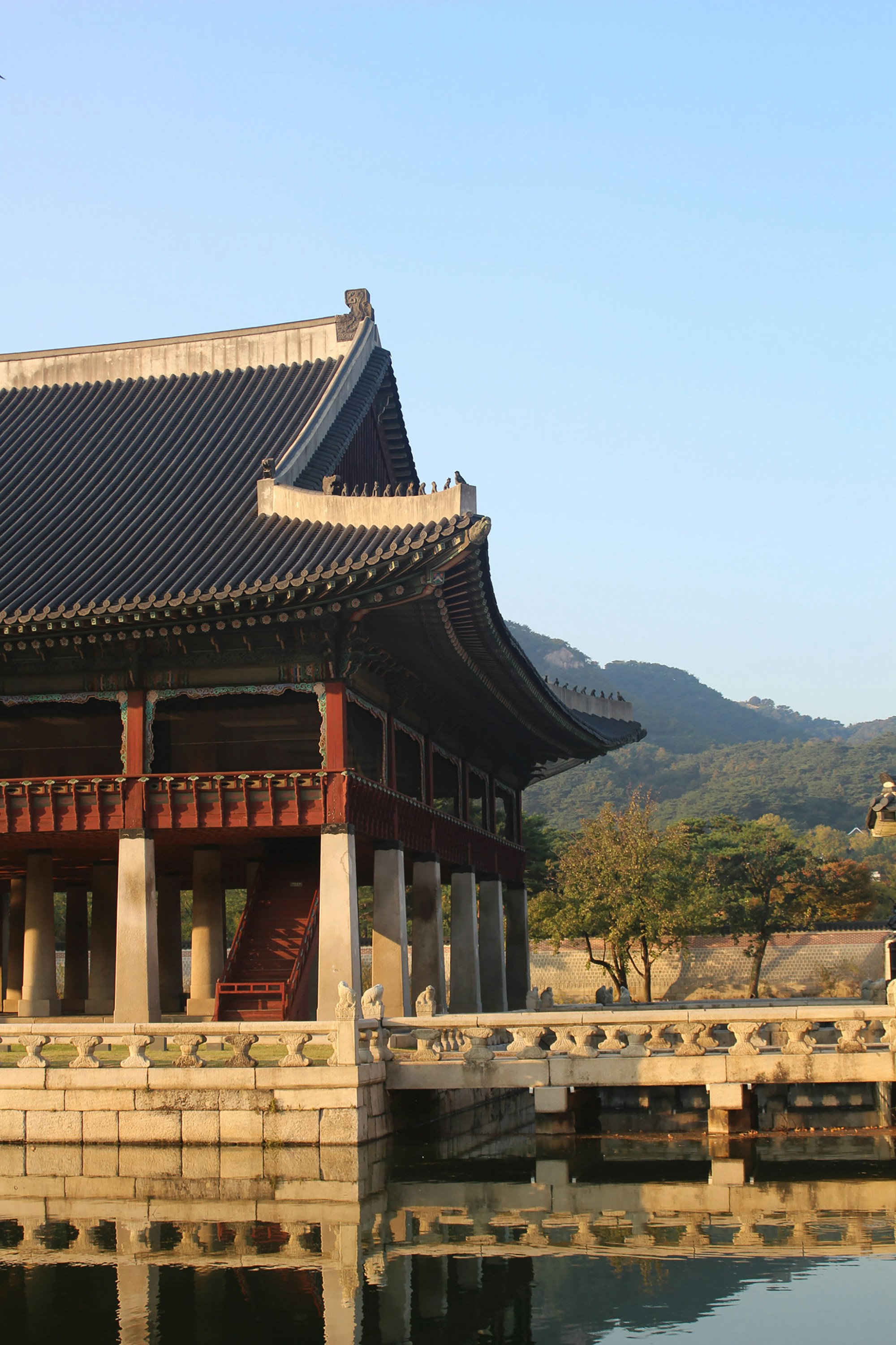 Addison Musick (@addymusick) | Komunitas Foto Unsplash