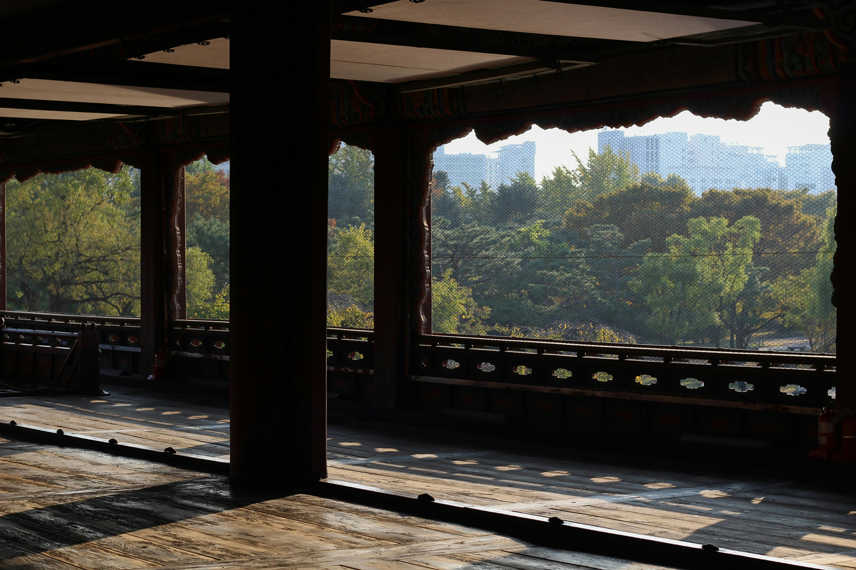 Addison Musick (@addymusick) | Komunitas Foto Unsplash