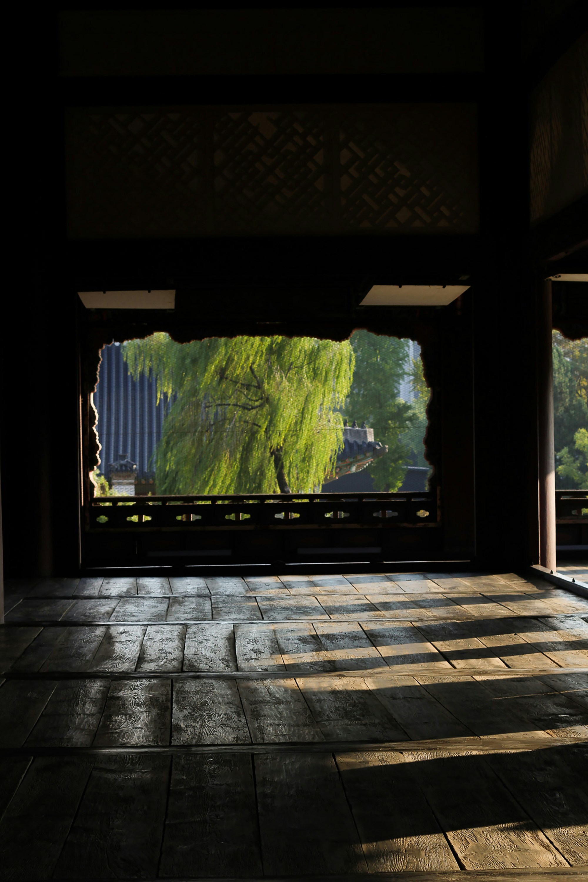 Addison Musick (@addymusick) | Komunitas Foto Unsplash