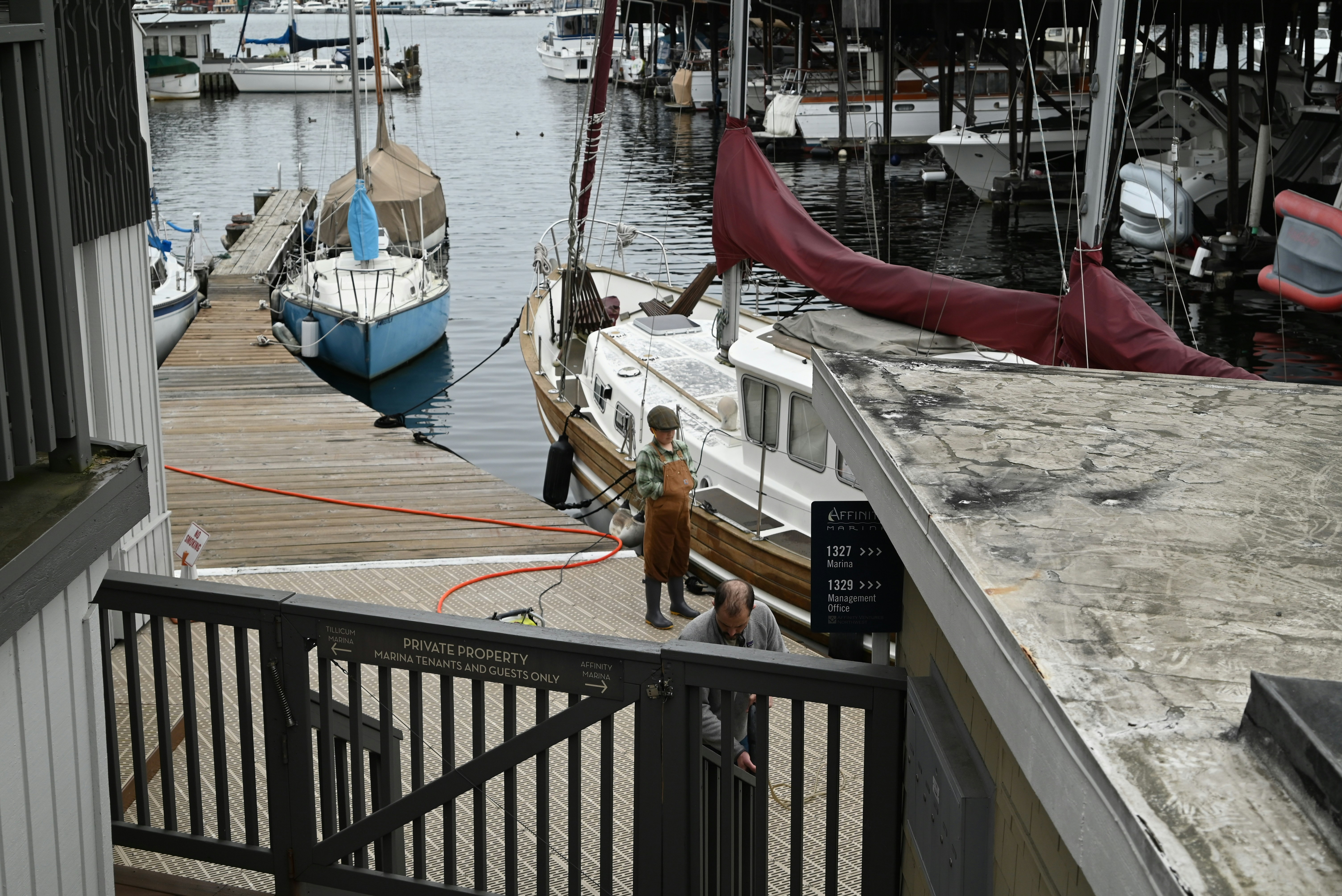 Harbor Secrets: A Glimpse into Maritime Life
