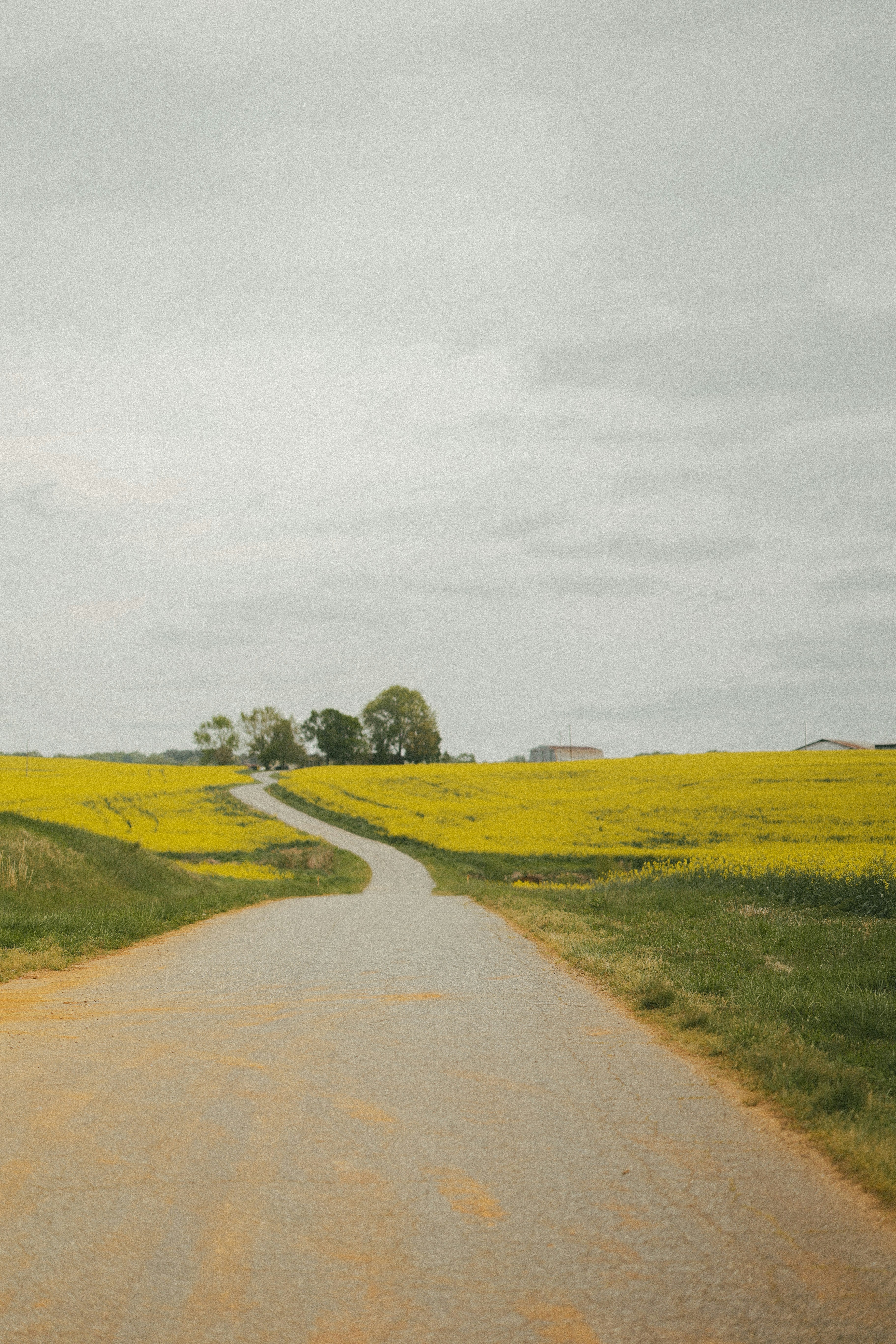 Photo by Brooke Balentine with Canon EOS R6