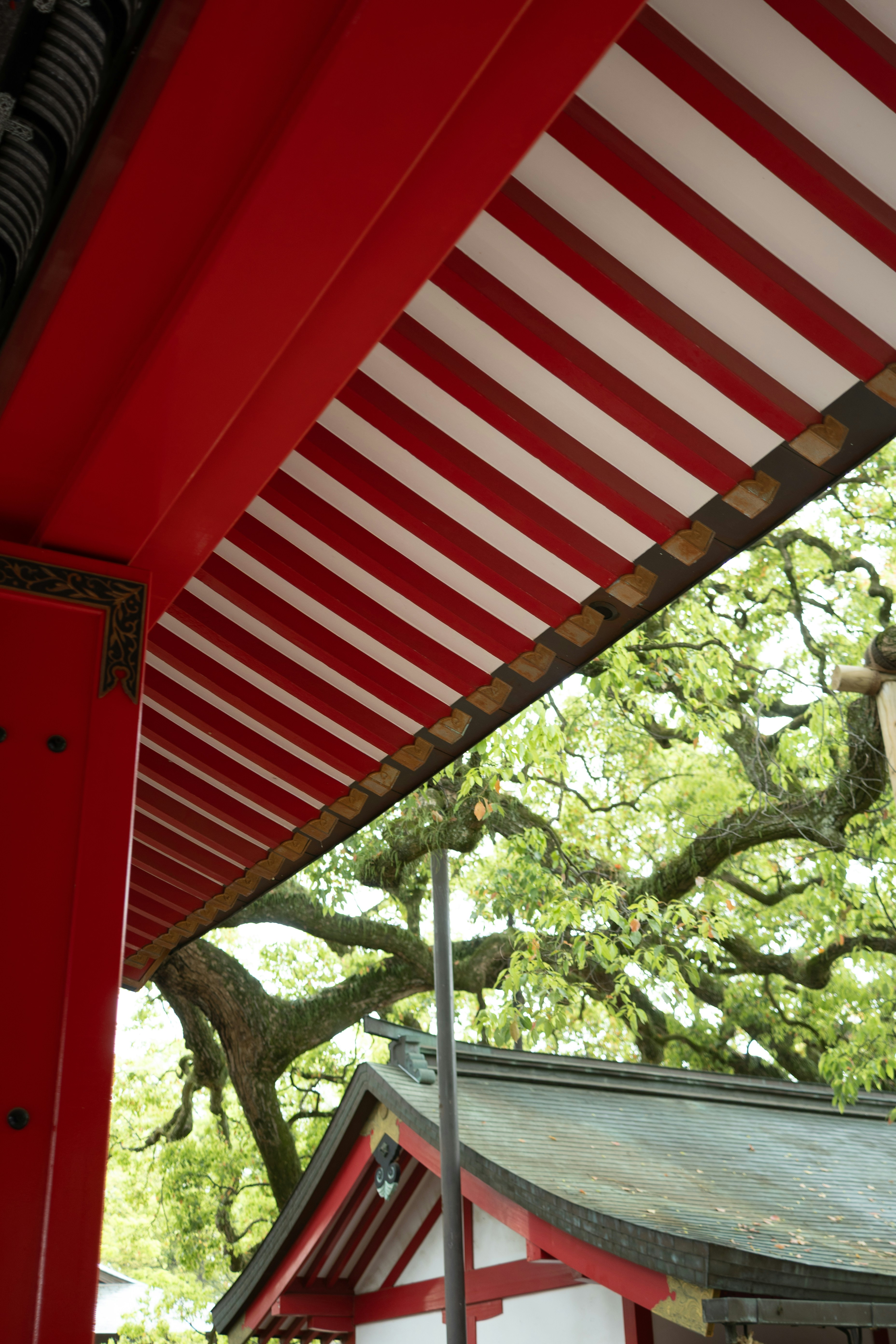 Red and White Roof Lines Framing a Sunny Shrine Courtyard
