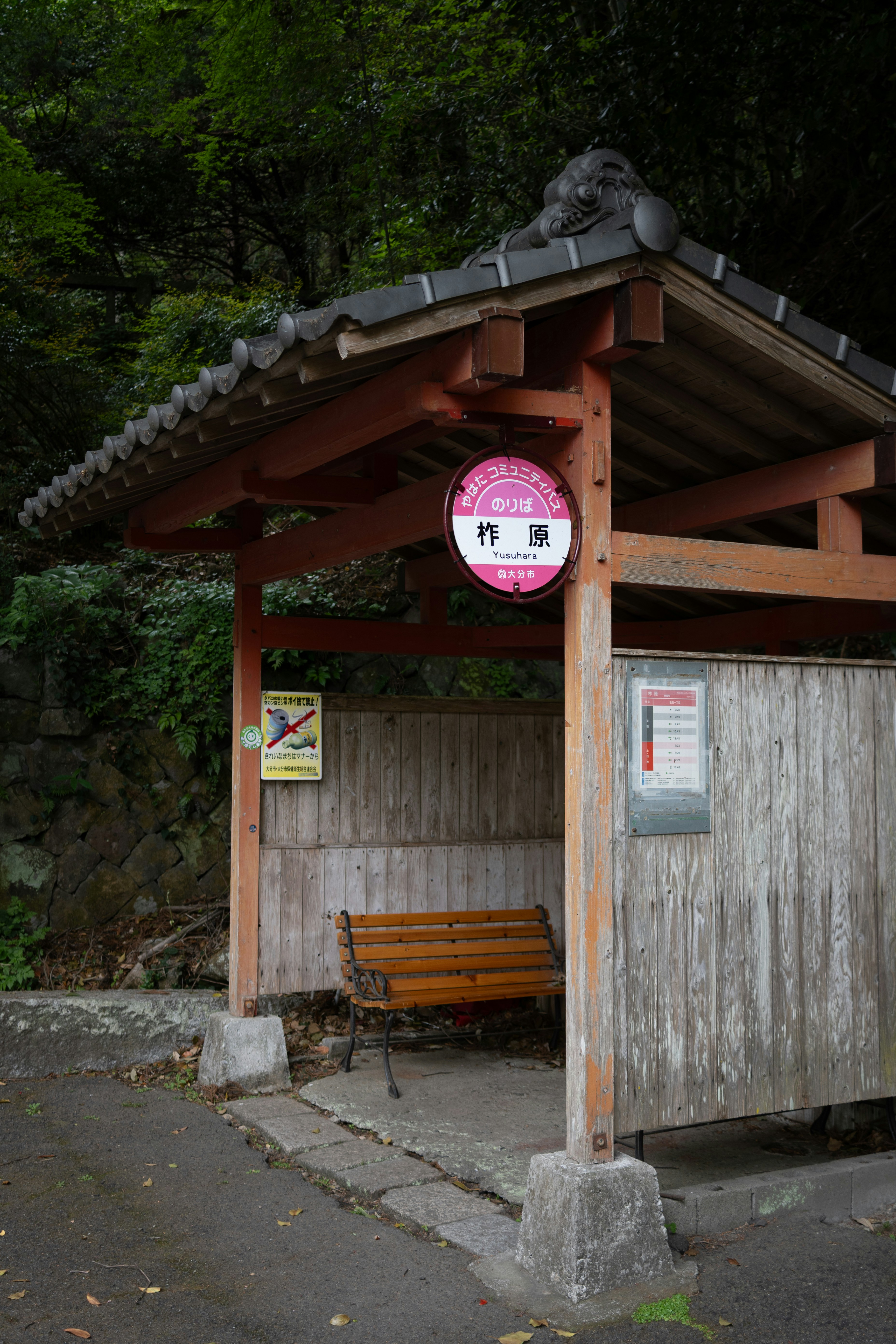 Photo by Kouji Tsuru with Nikon Z50 II