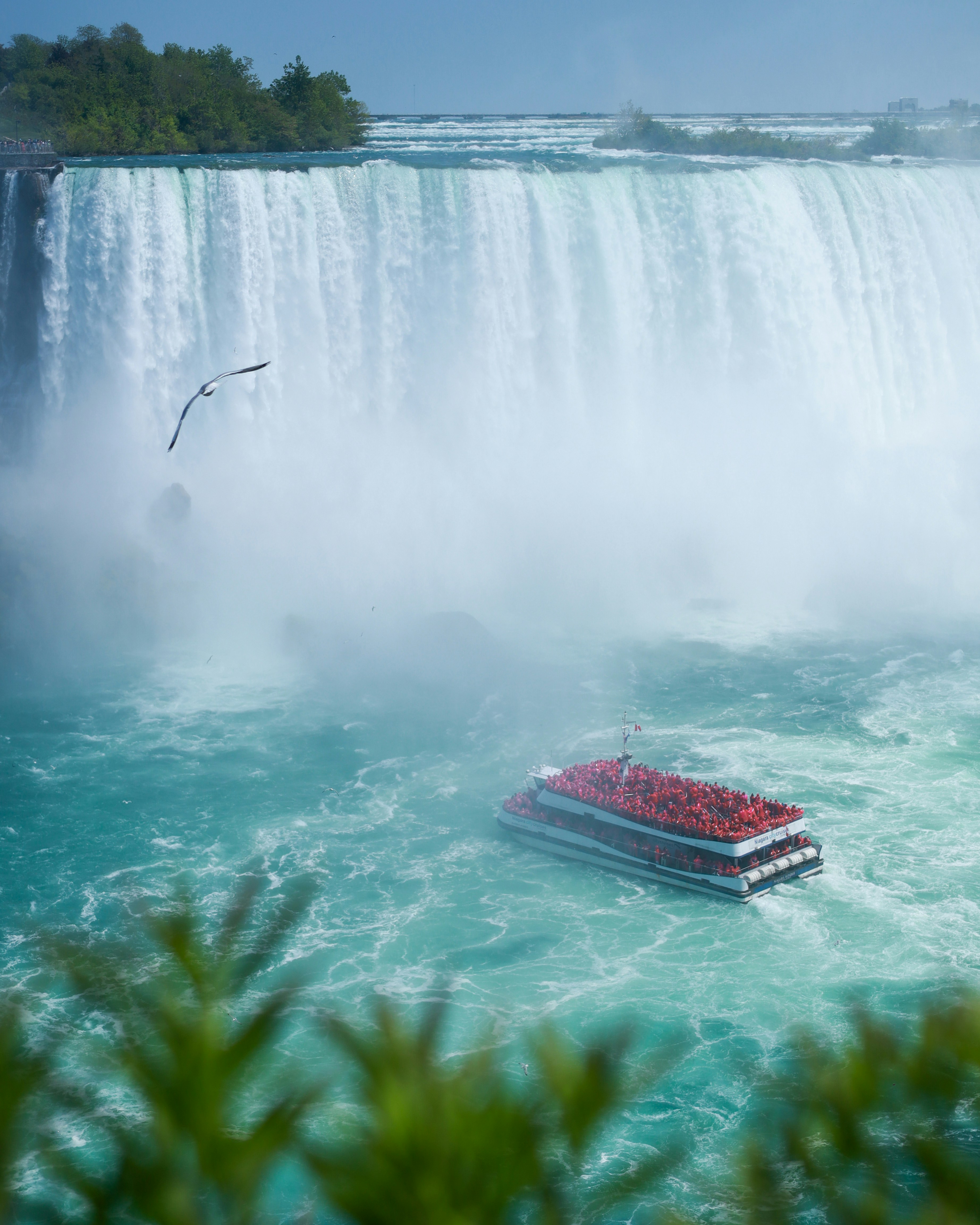 Crimson Deck Rides the Turquoise Vortex Beneath a Curtain of Mist