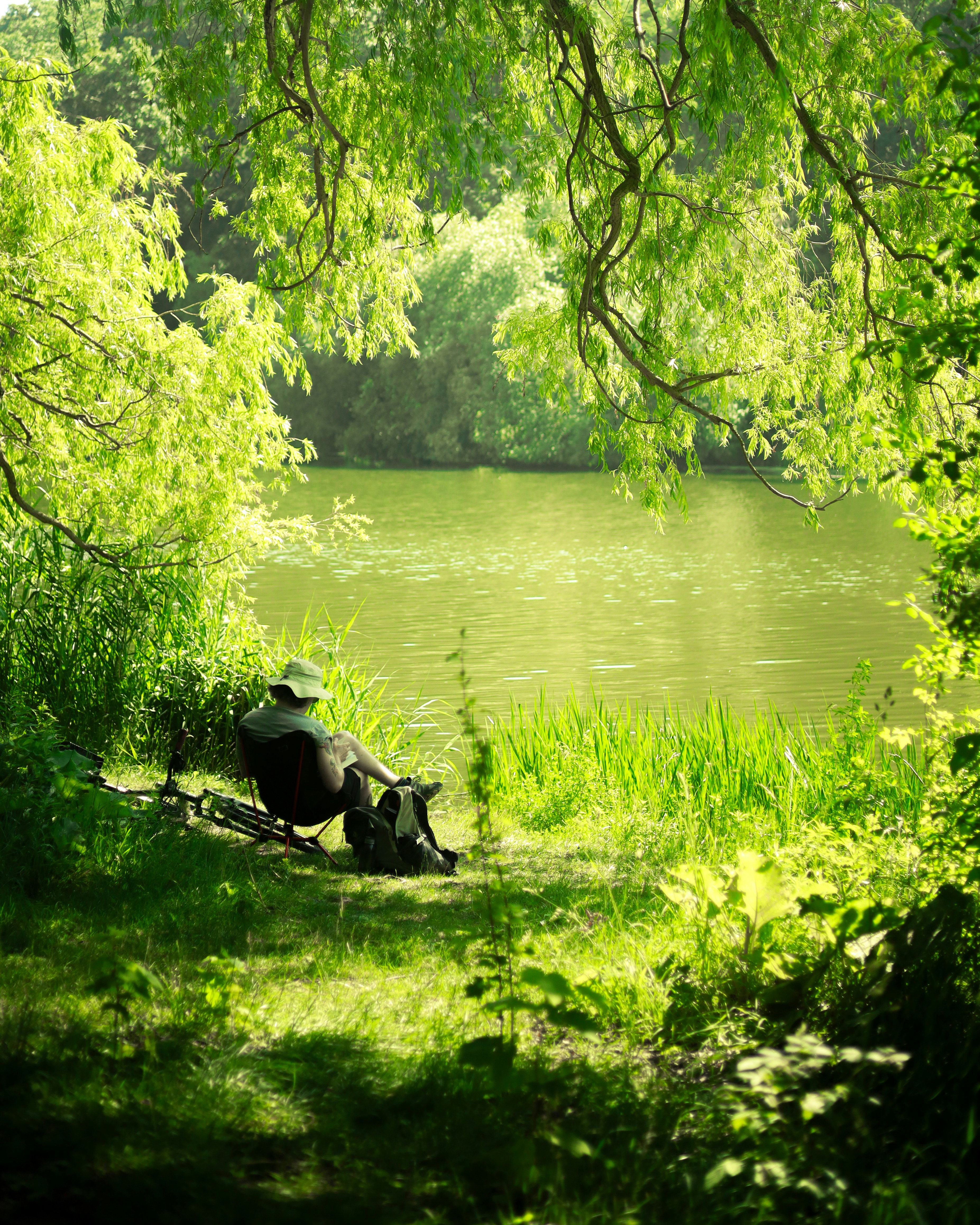 Solitary Sitter by a Sunlit Lake Framed by Emerald Foliage