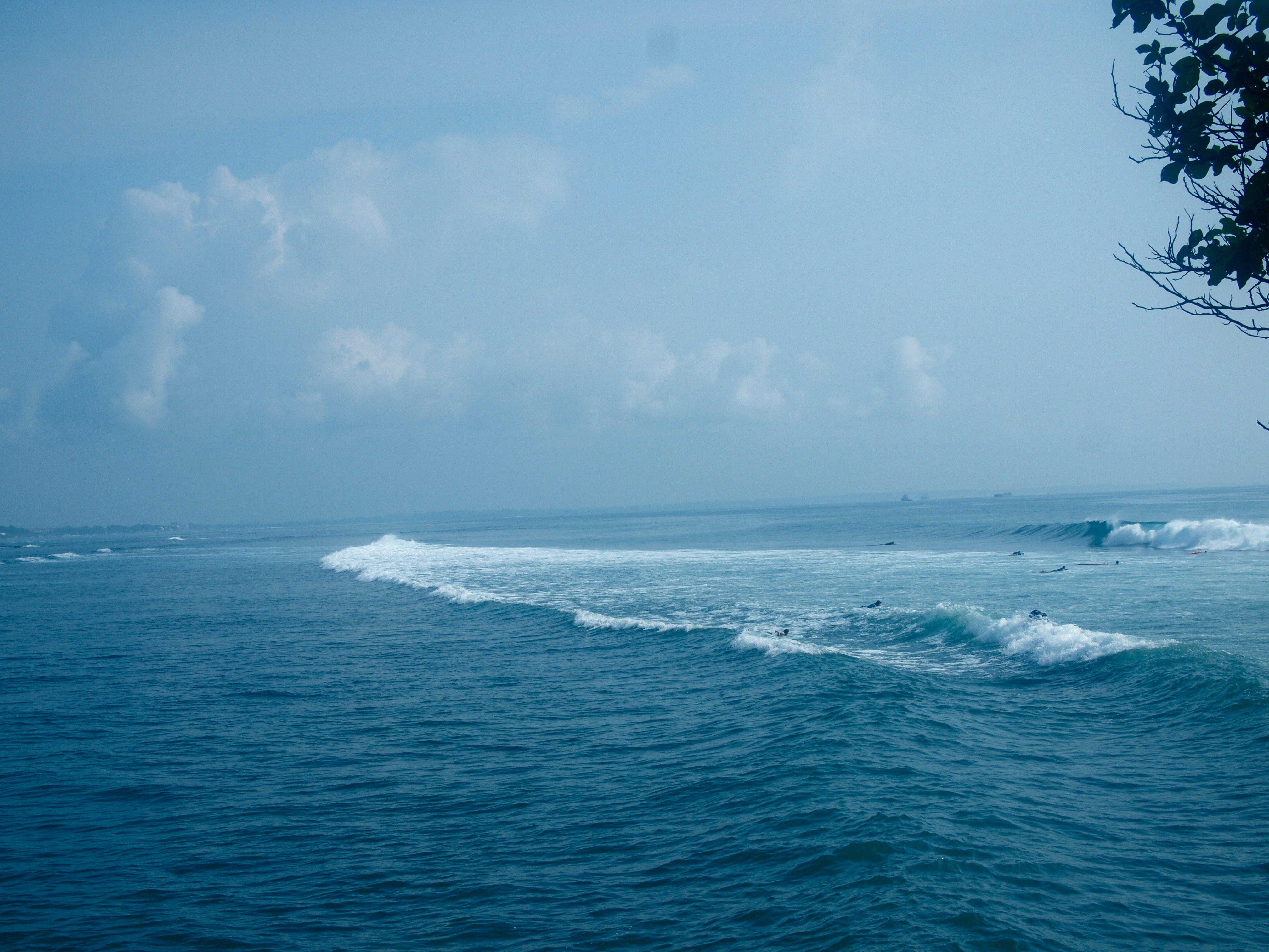 Calm ocean extends toward a pale horizon as a line of breaking waves rolls across the frame. A tree branch in the upper-right corners anchors the composition.