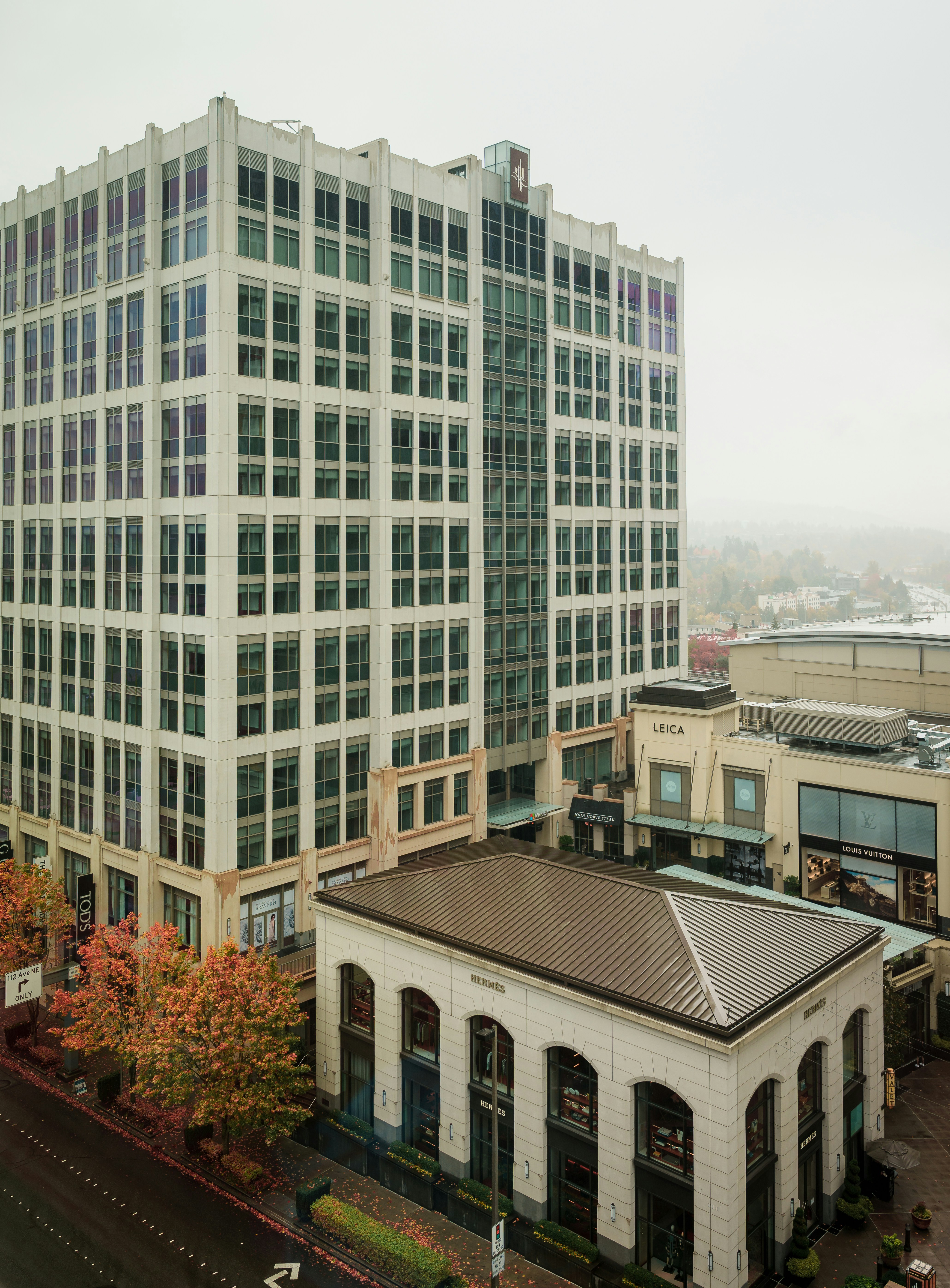 Urban Elegance: A Glimpse of Modern ArchitectureXimin Lin