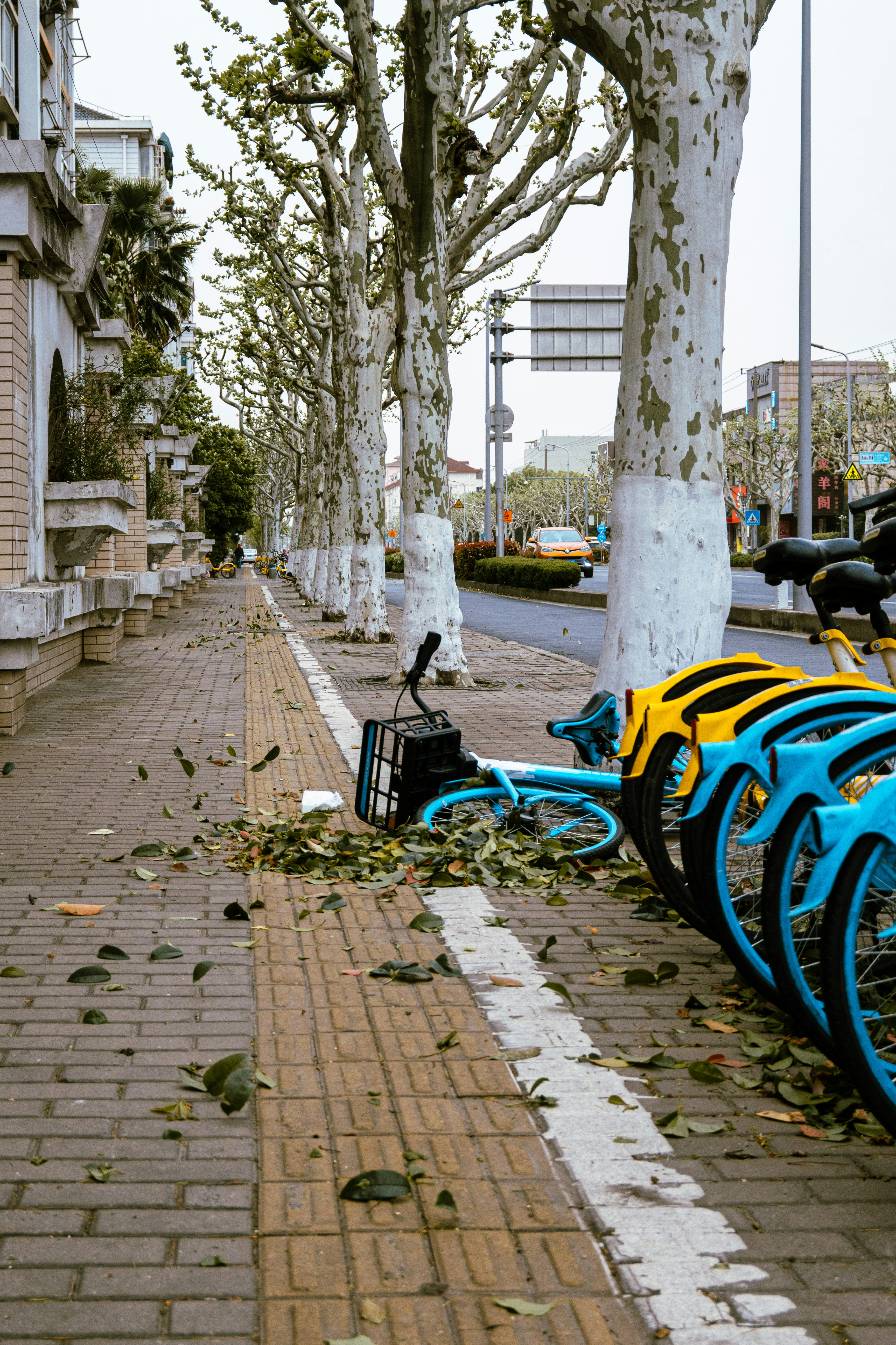 Urban Tranquility: A Pause in Motion