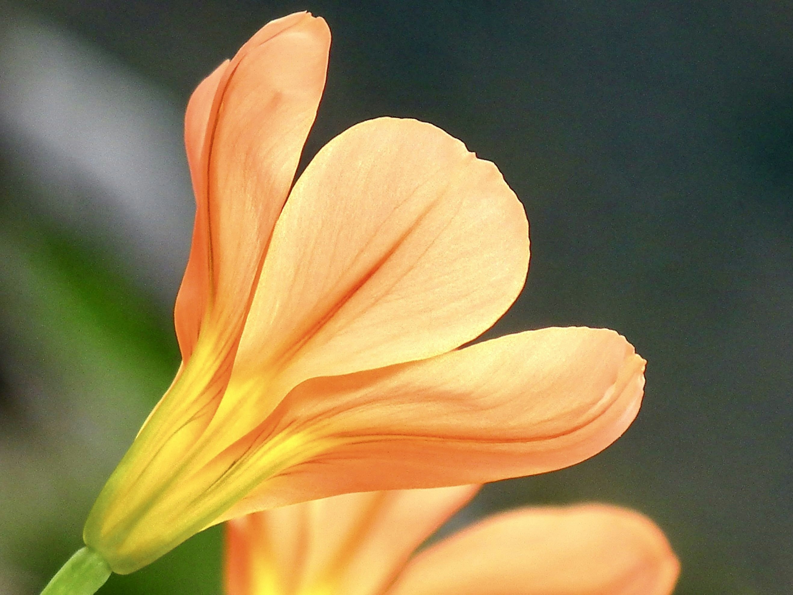 Photo by fred tromp with Fujifilm FinePix HS10