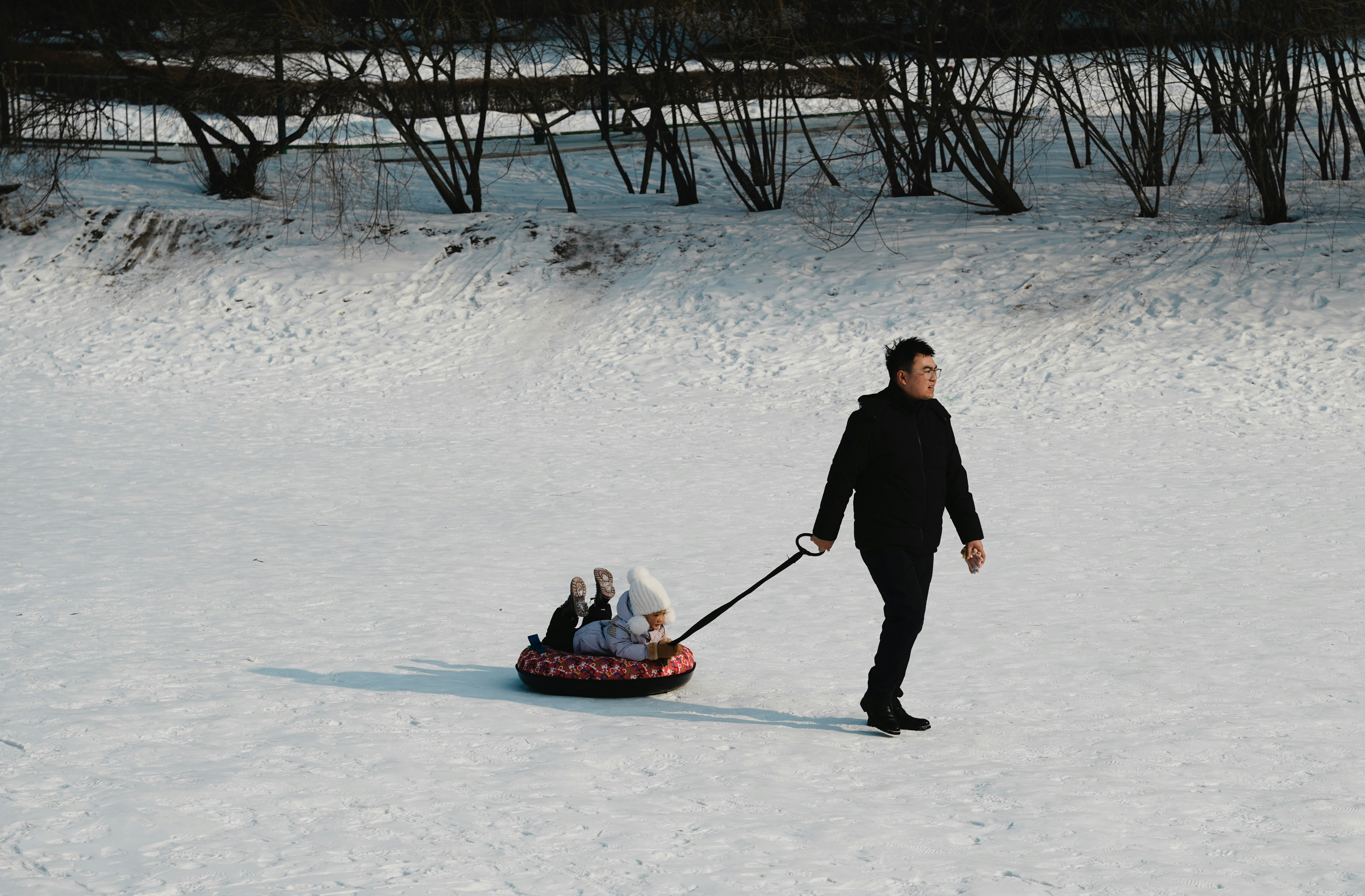 Winter Whimsy: A Journey on Snow