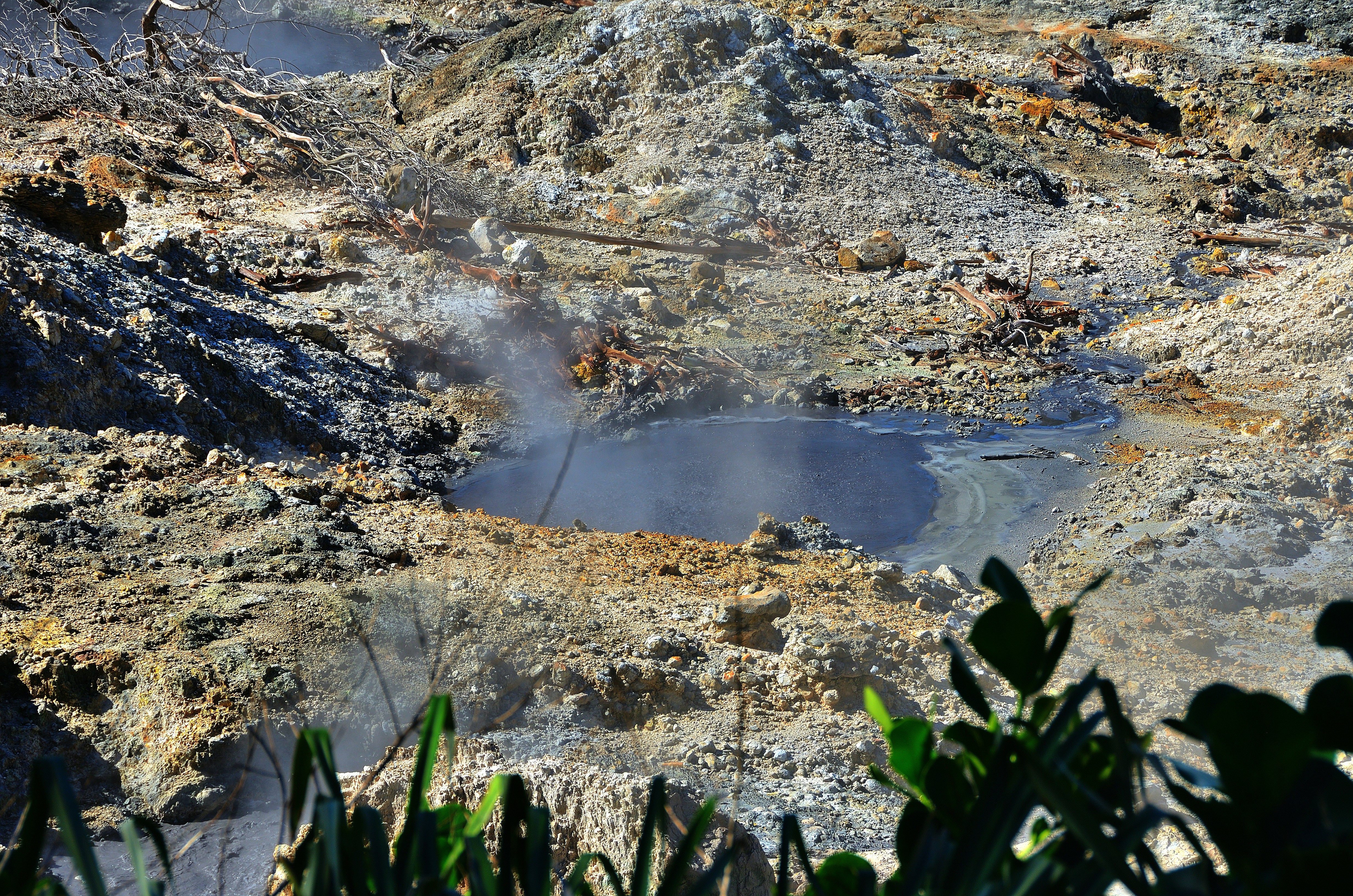 Crater Steam: Fringed by Green Fronds, a Quiet Oasis in Lava Terrain