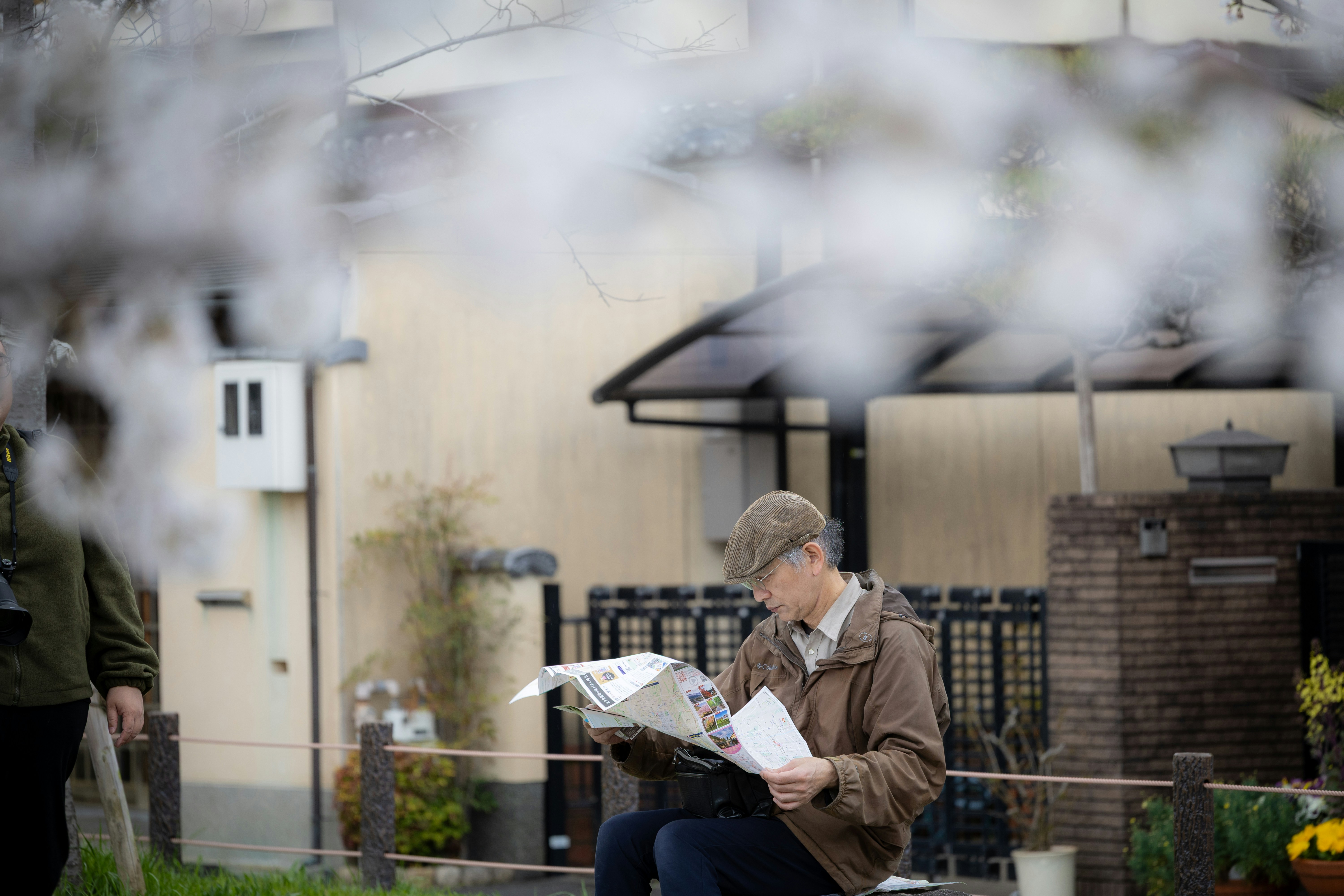 An Afternoon Read: Man in a Brown Jacket Immersed in a Newspaper Amid Spring Blossoms