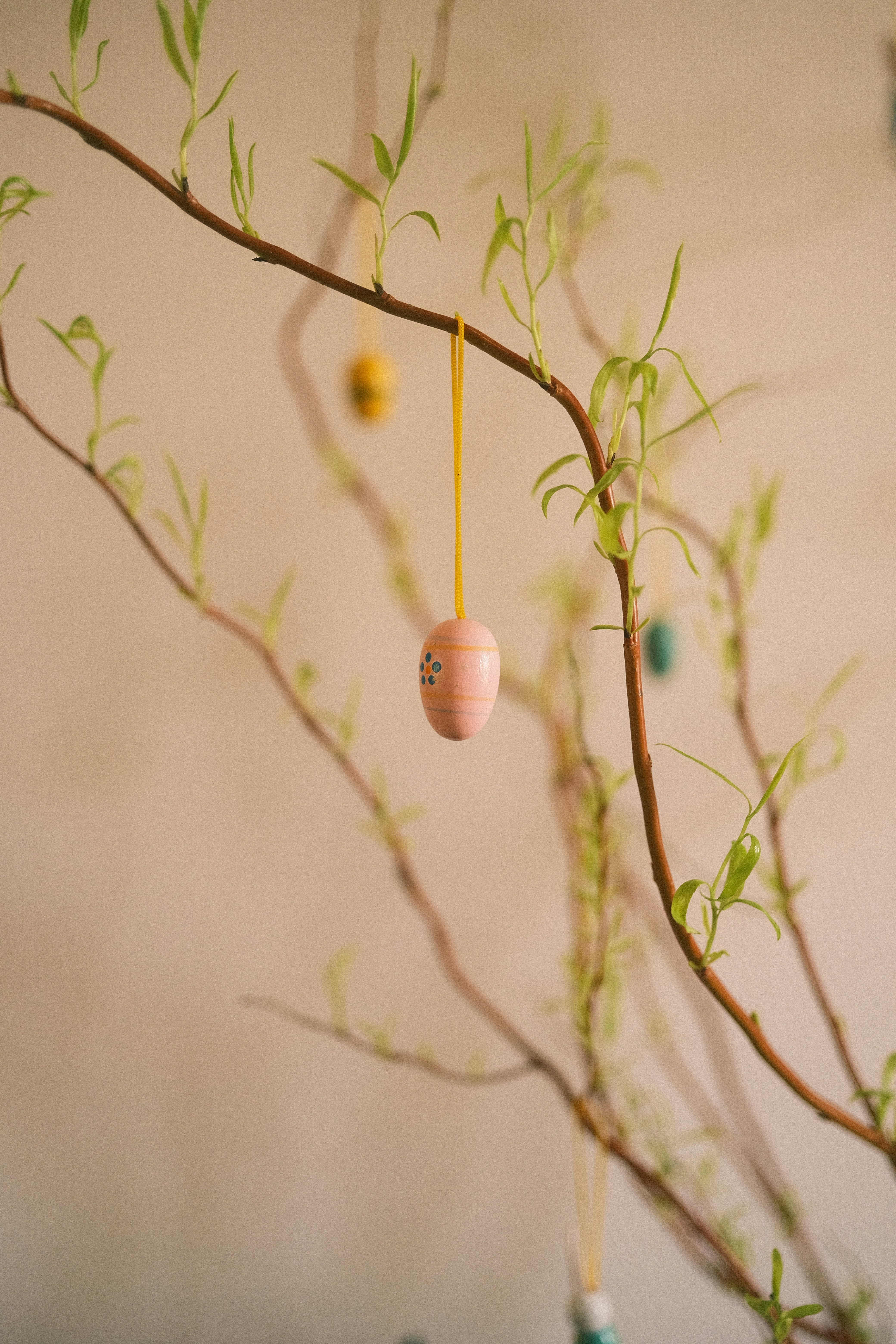Delicate branches adorned with pastel-colored Easter eggs, highlighting the charm of seasonal decorations.