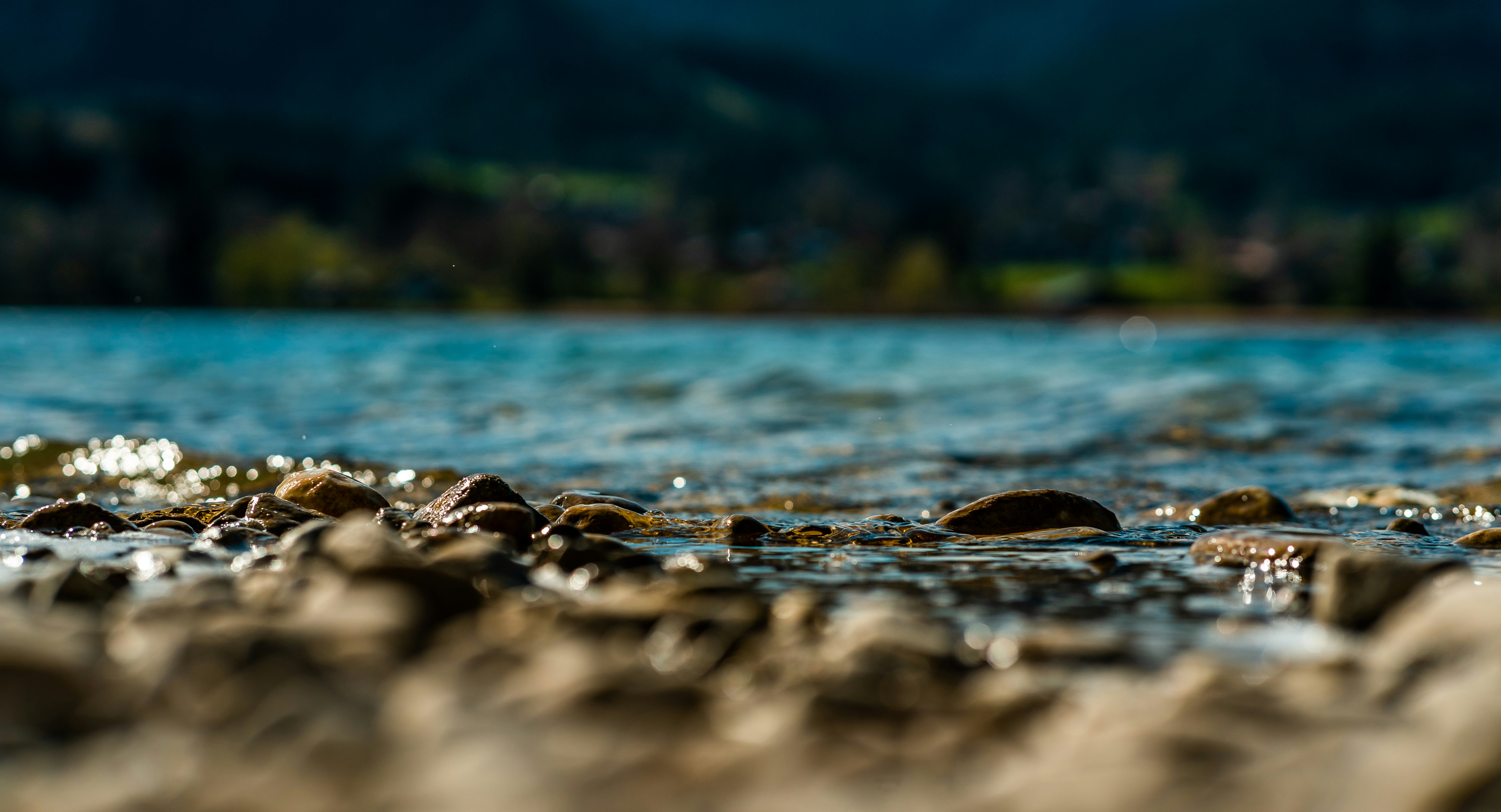 Photo by Jahanzeb Ahsan with Sony Alpha 7 IV