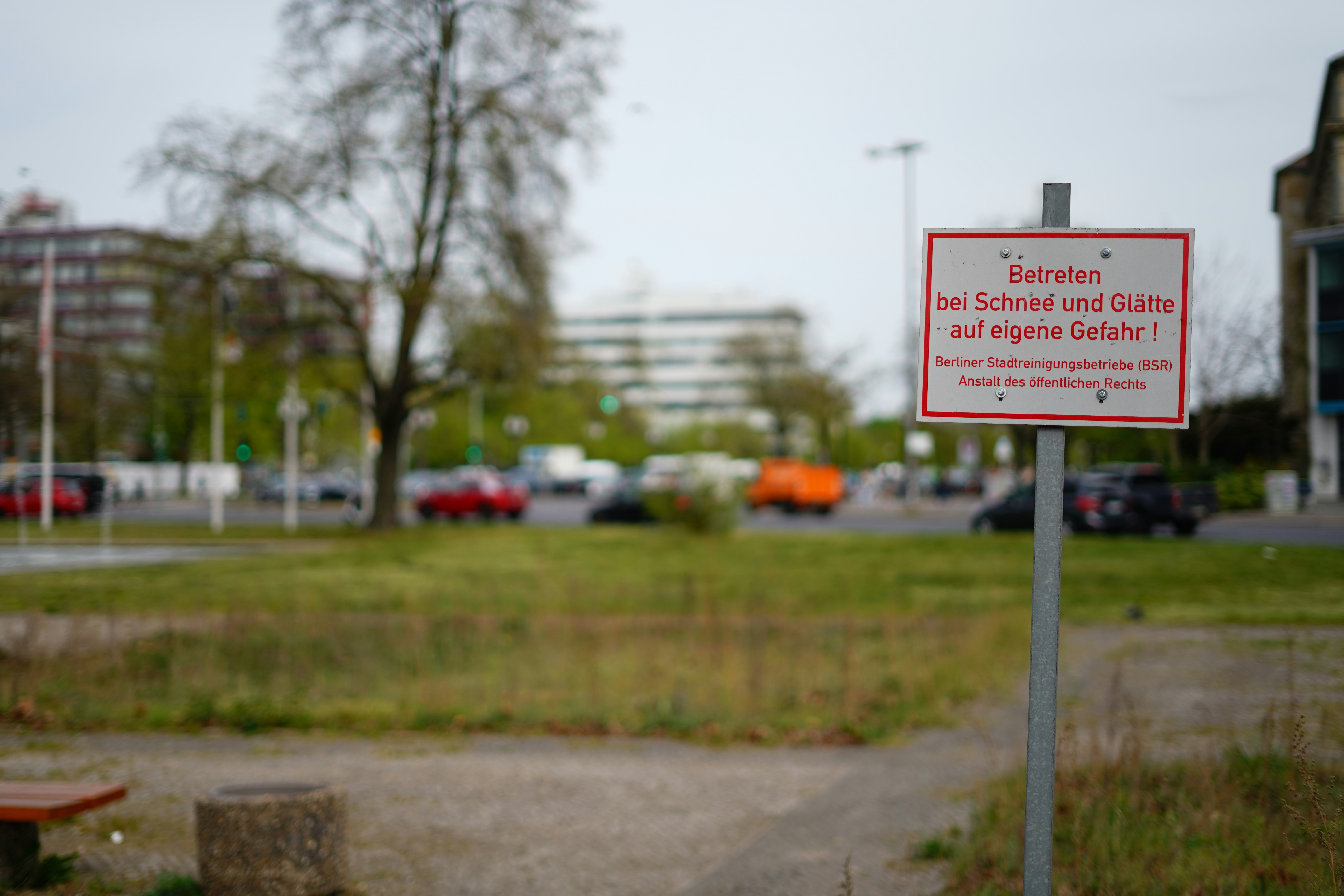 Signpost Sentinel: A Red-Outlined Warning at the Park's Edge