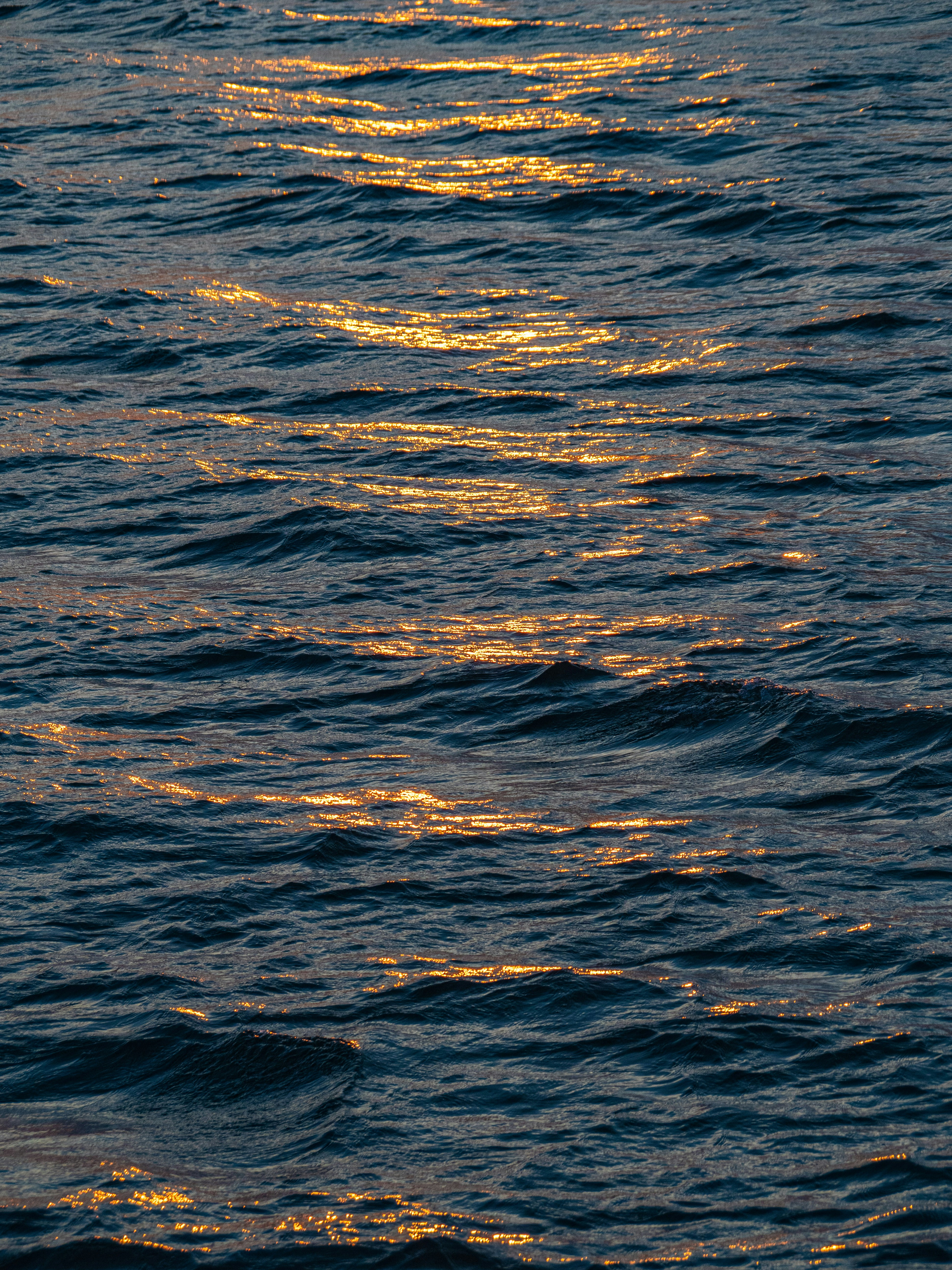 Golden sunlight glistens on wavy water.Diego Romeo