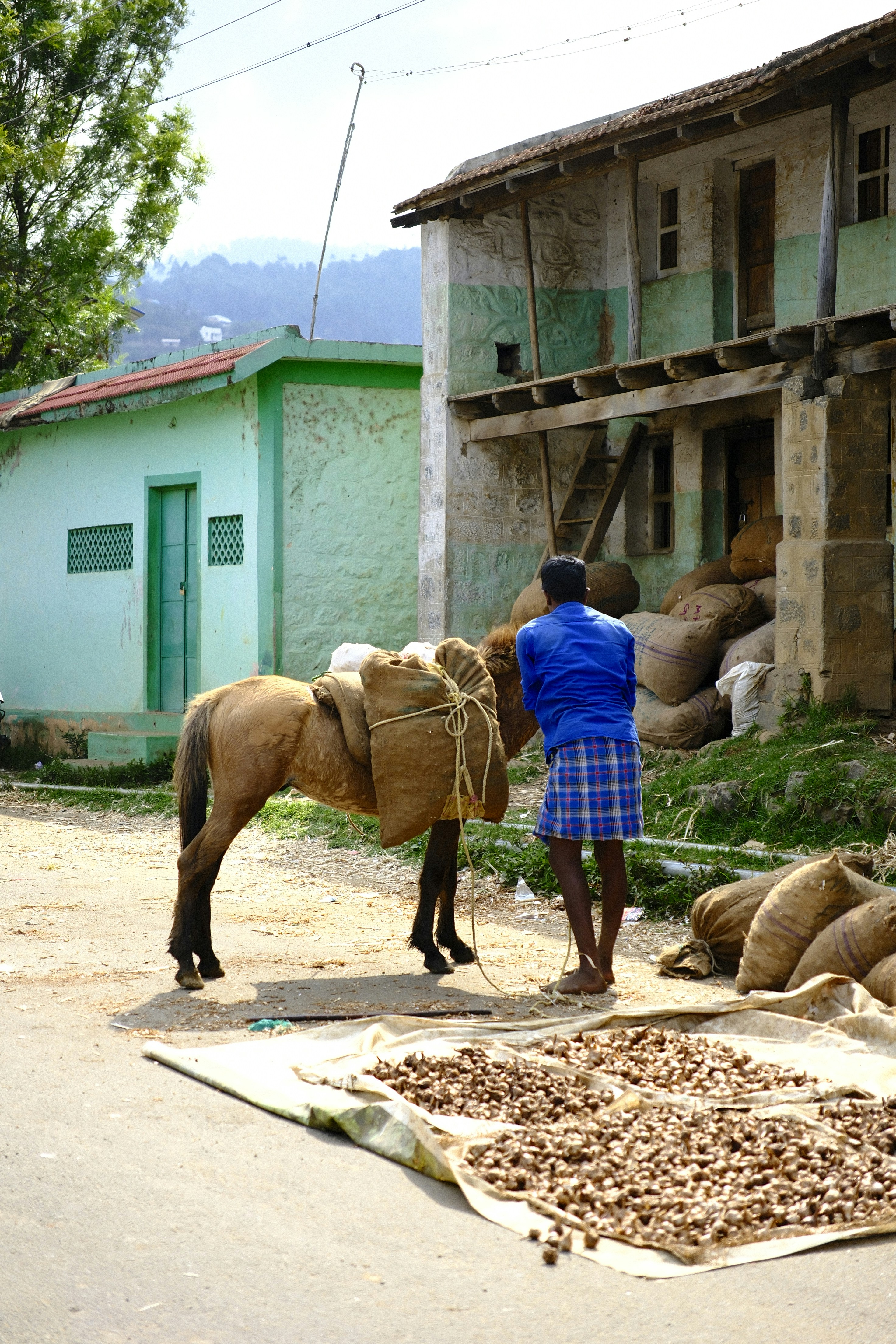Photo by Ajin K S with Fujifilm X-M5