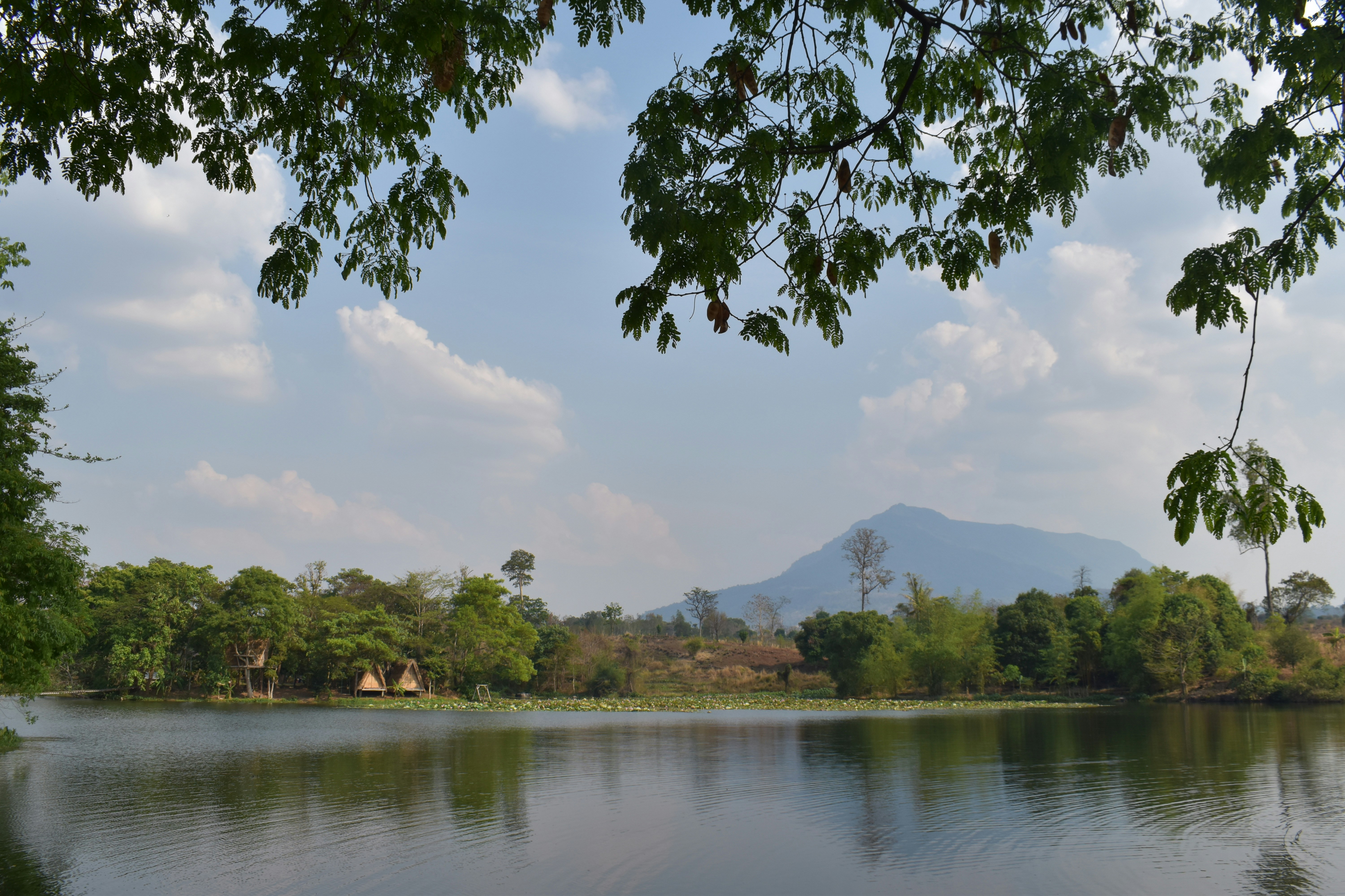 A lake reflects the sky and trees. photo – Free Forest Image on Unsplash