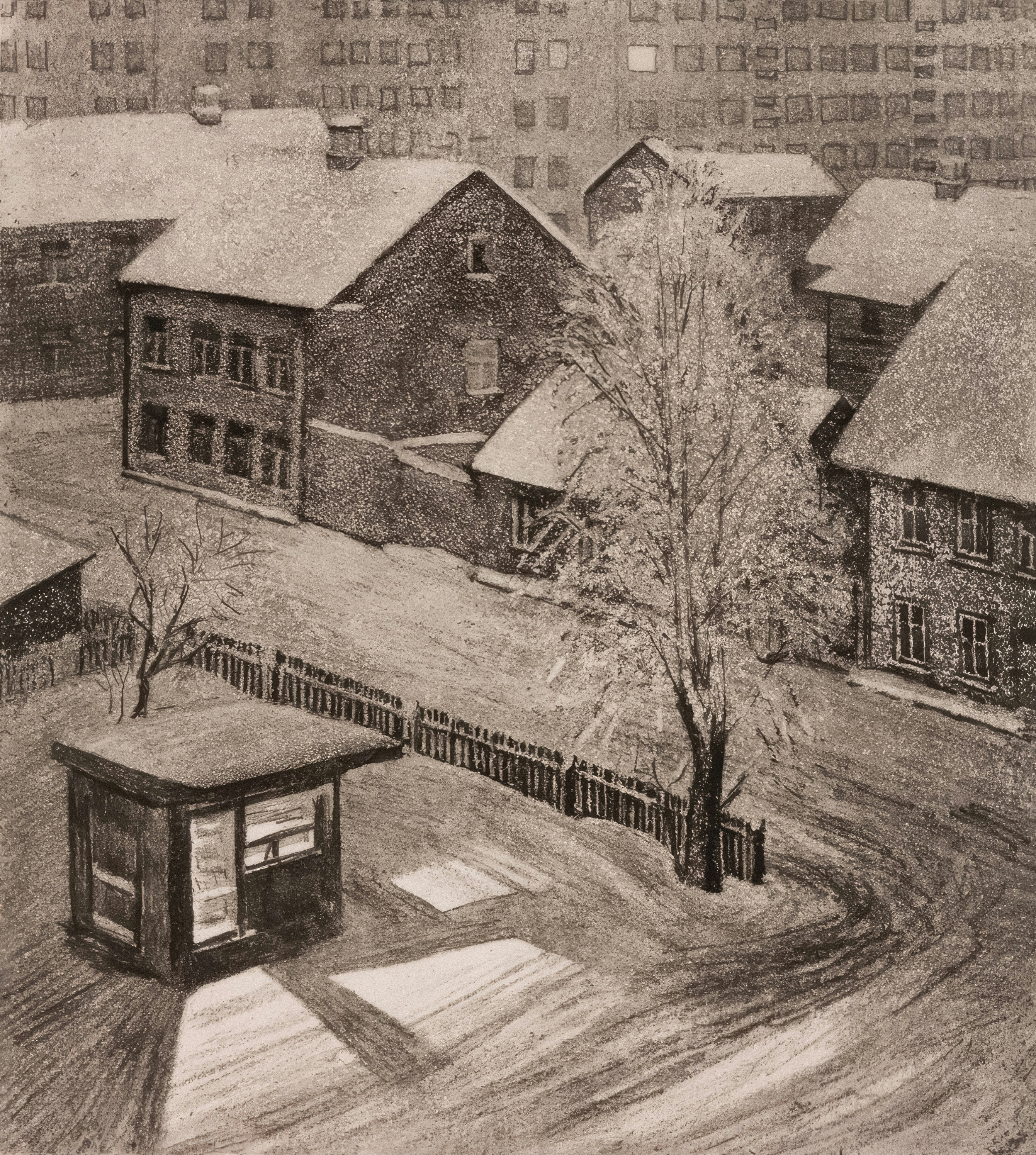 Snow-Laced Block: The Central Tree Framed by Quiet Rooftops