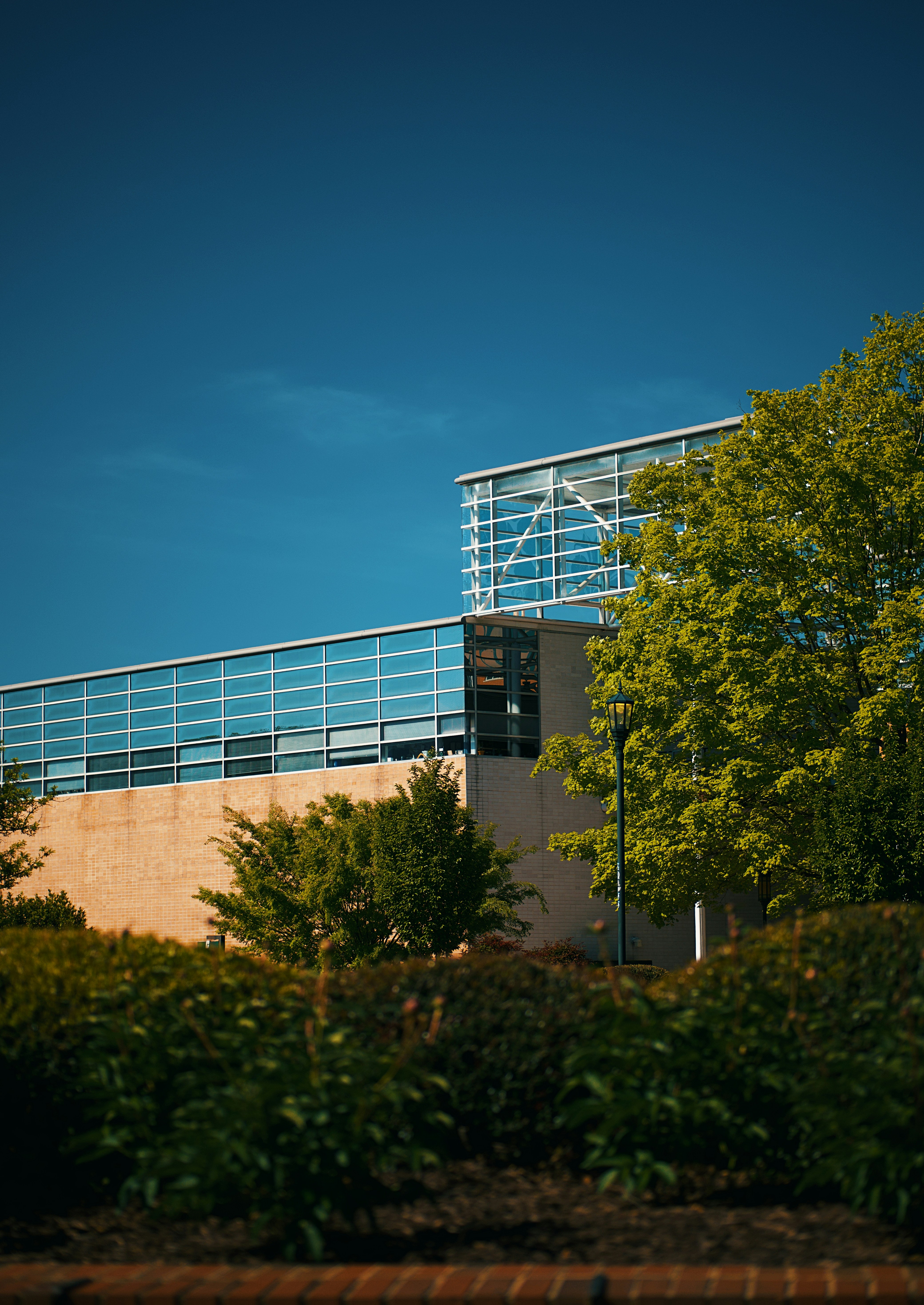 A modern building with glass windows and trees. photo – Free Building ...