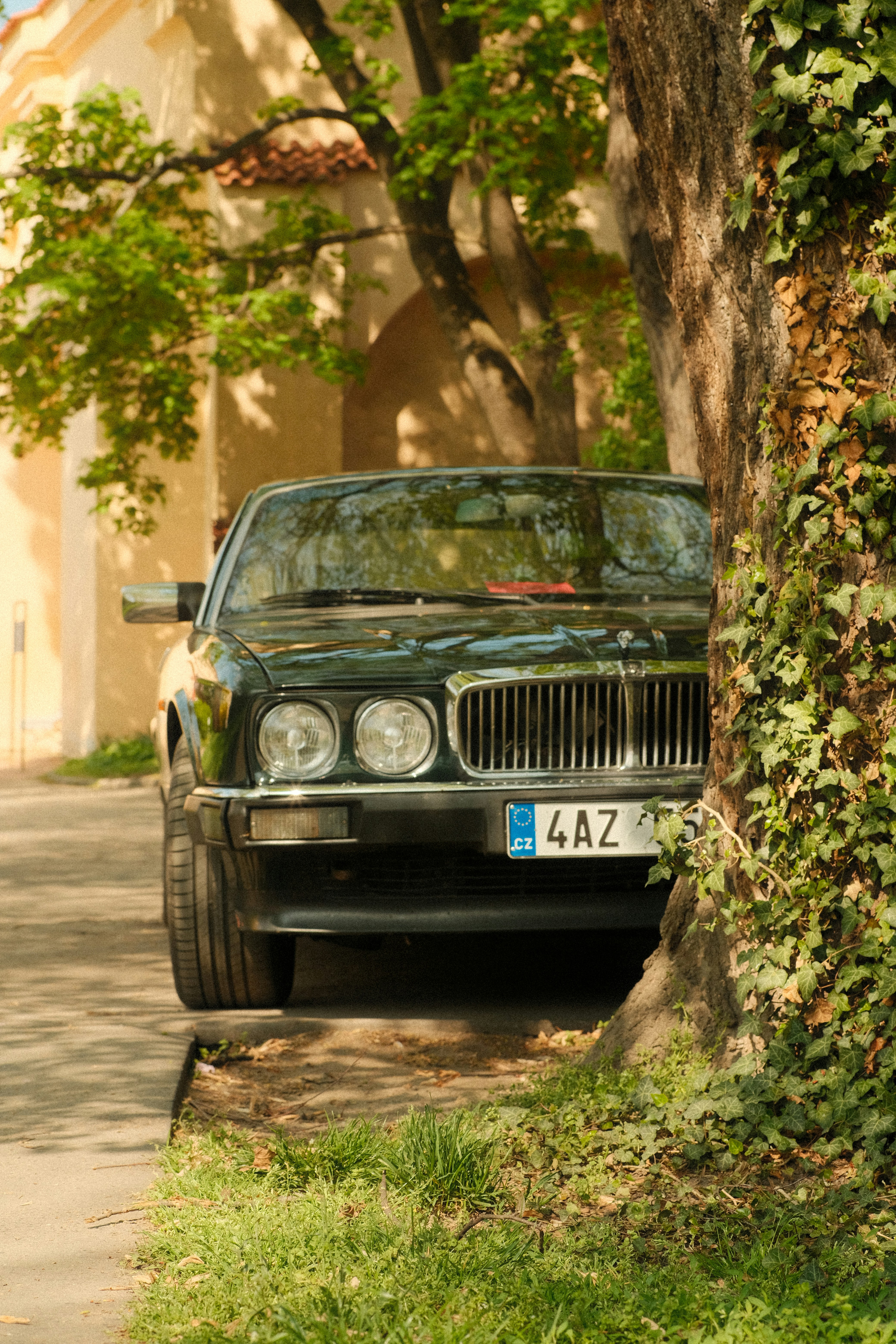 Ivy-Framed Classic: A Green Sedan Waiting in Dappled Light