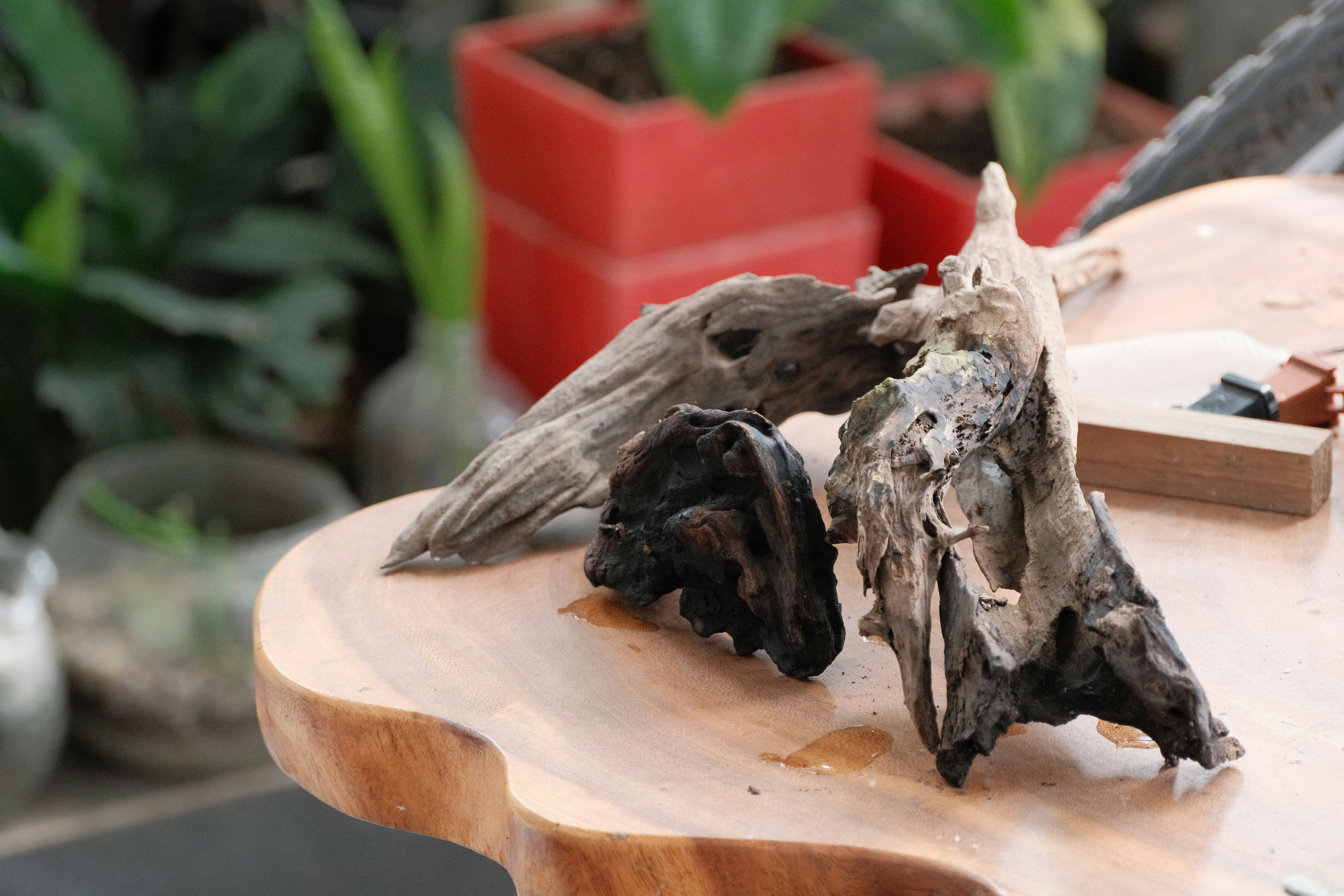 Nature-smoothed centerpiece: weathered drift on a wooden table