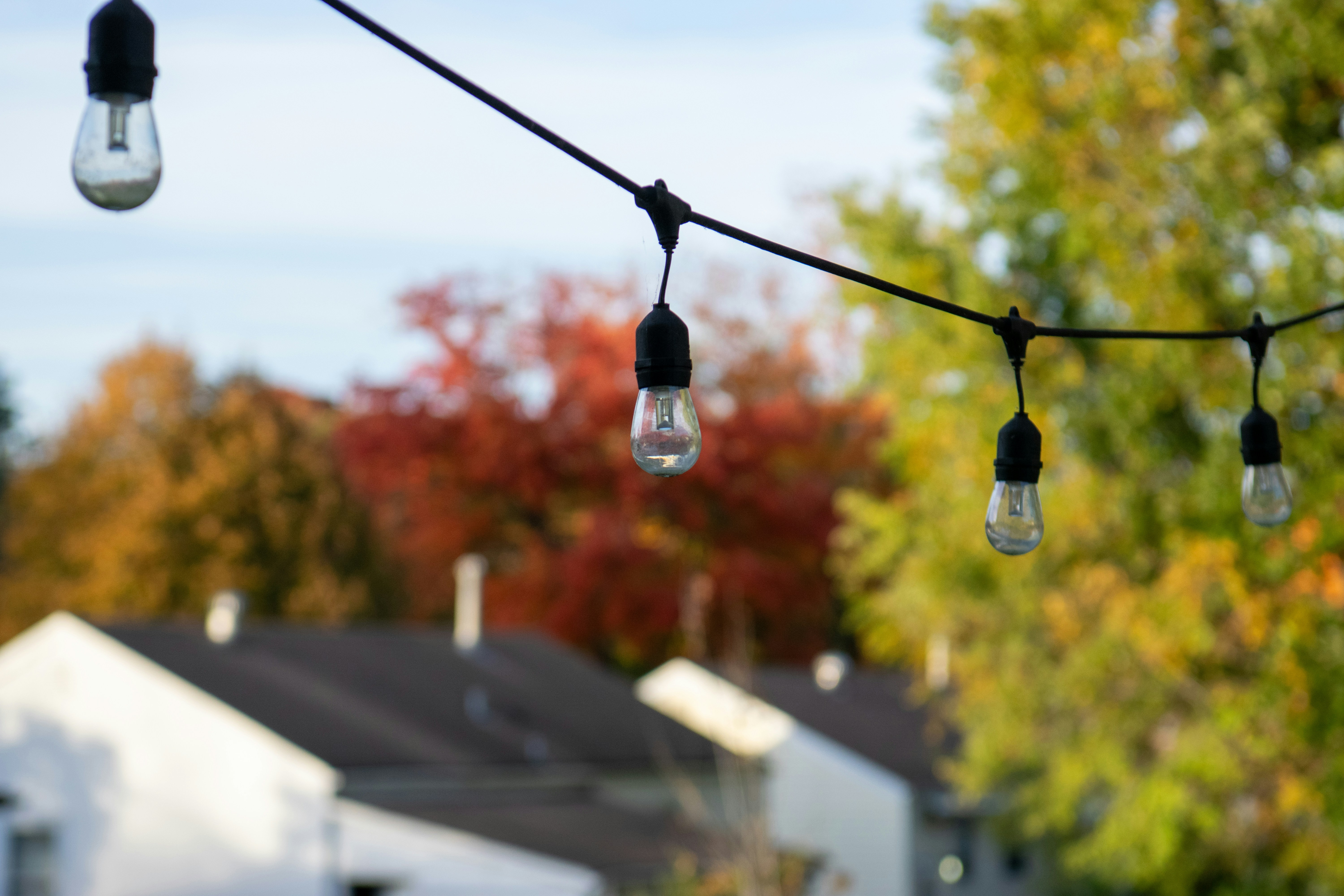 String lights hang above houses with fall foliage. photo – Free Autumn ...