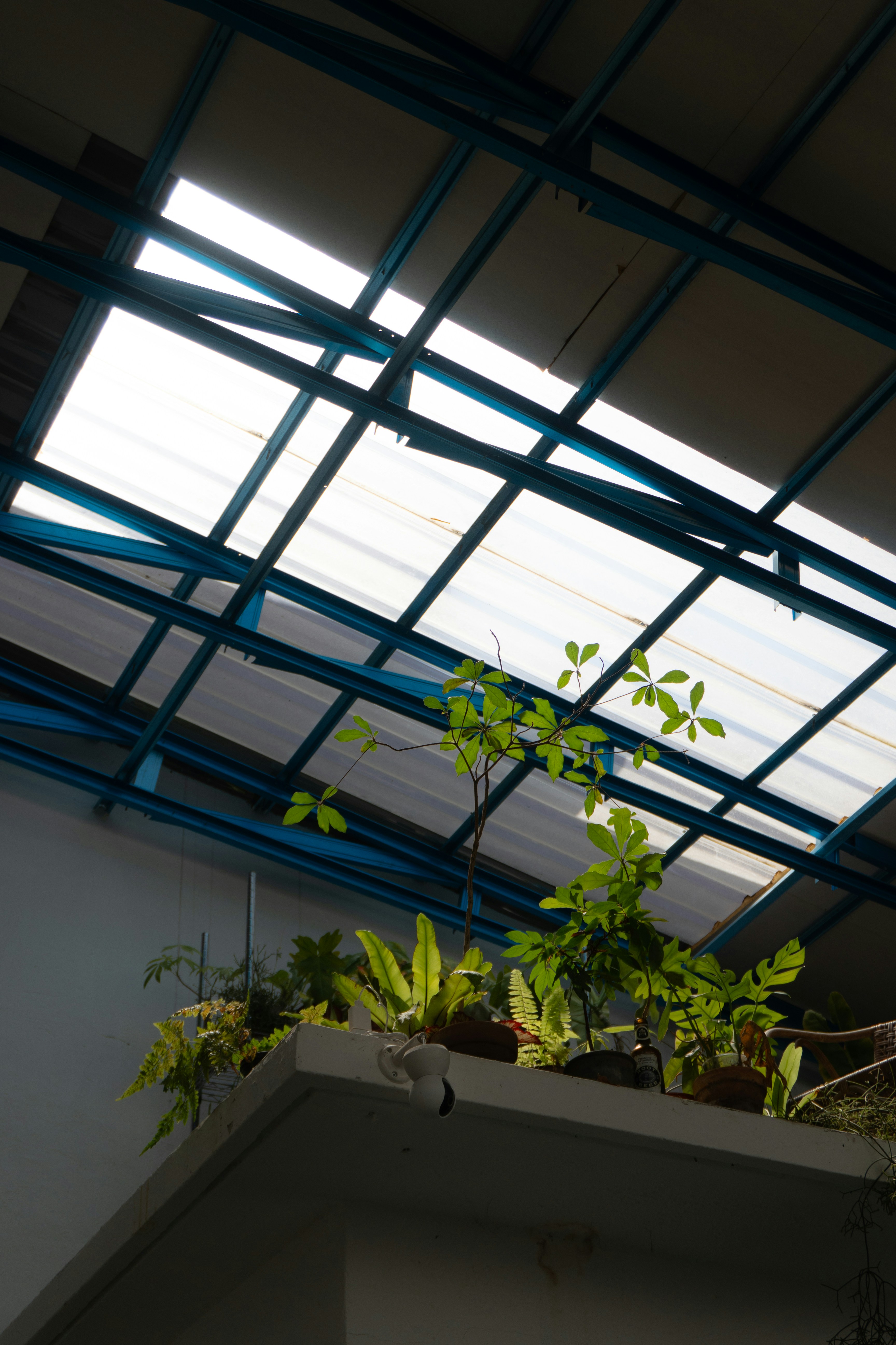 Photo by Mervyn with Sony Alpha 6400