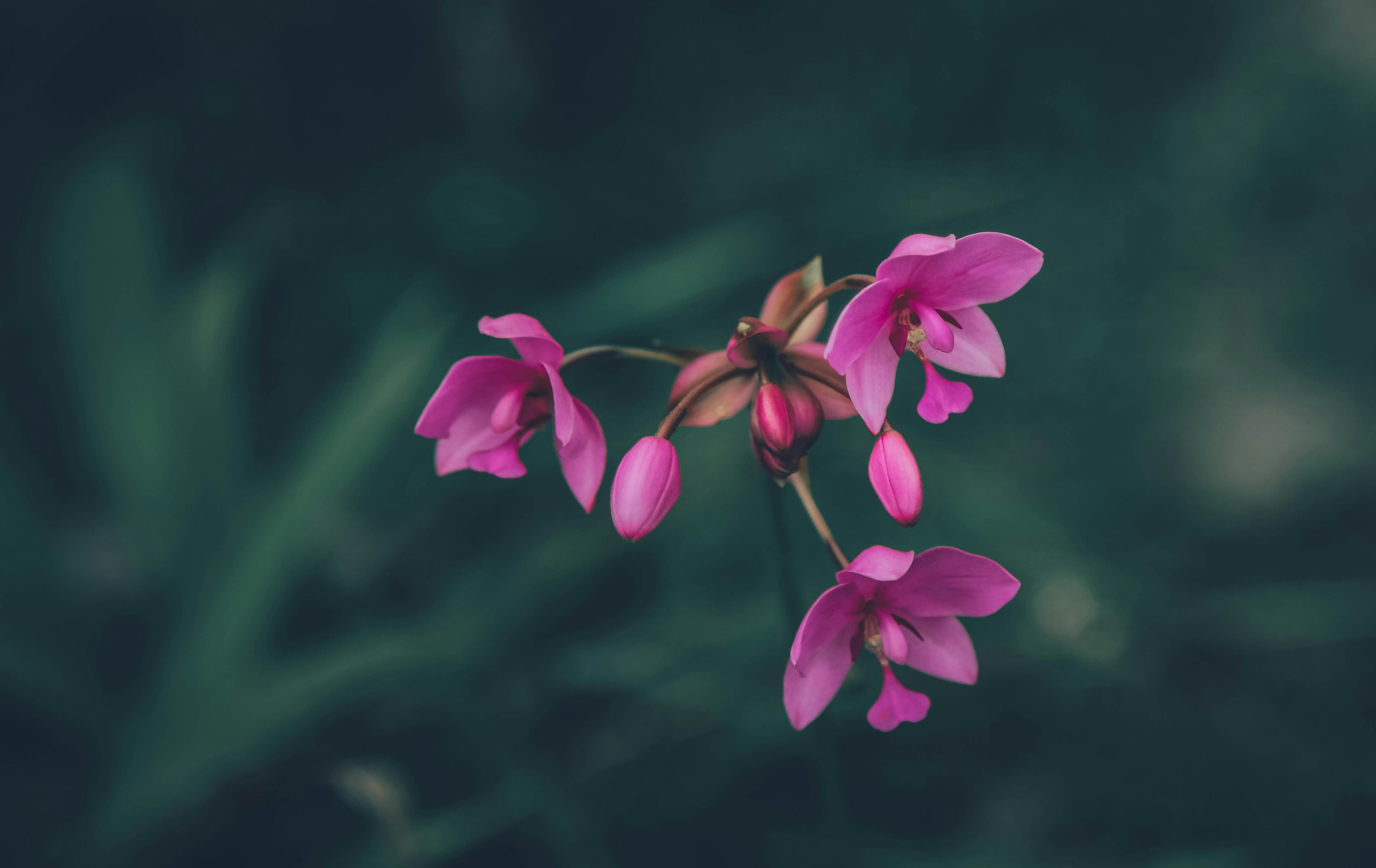 Photo by Hưng Nguyễn with Canon EOS 5D Mark III