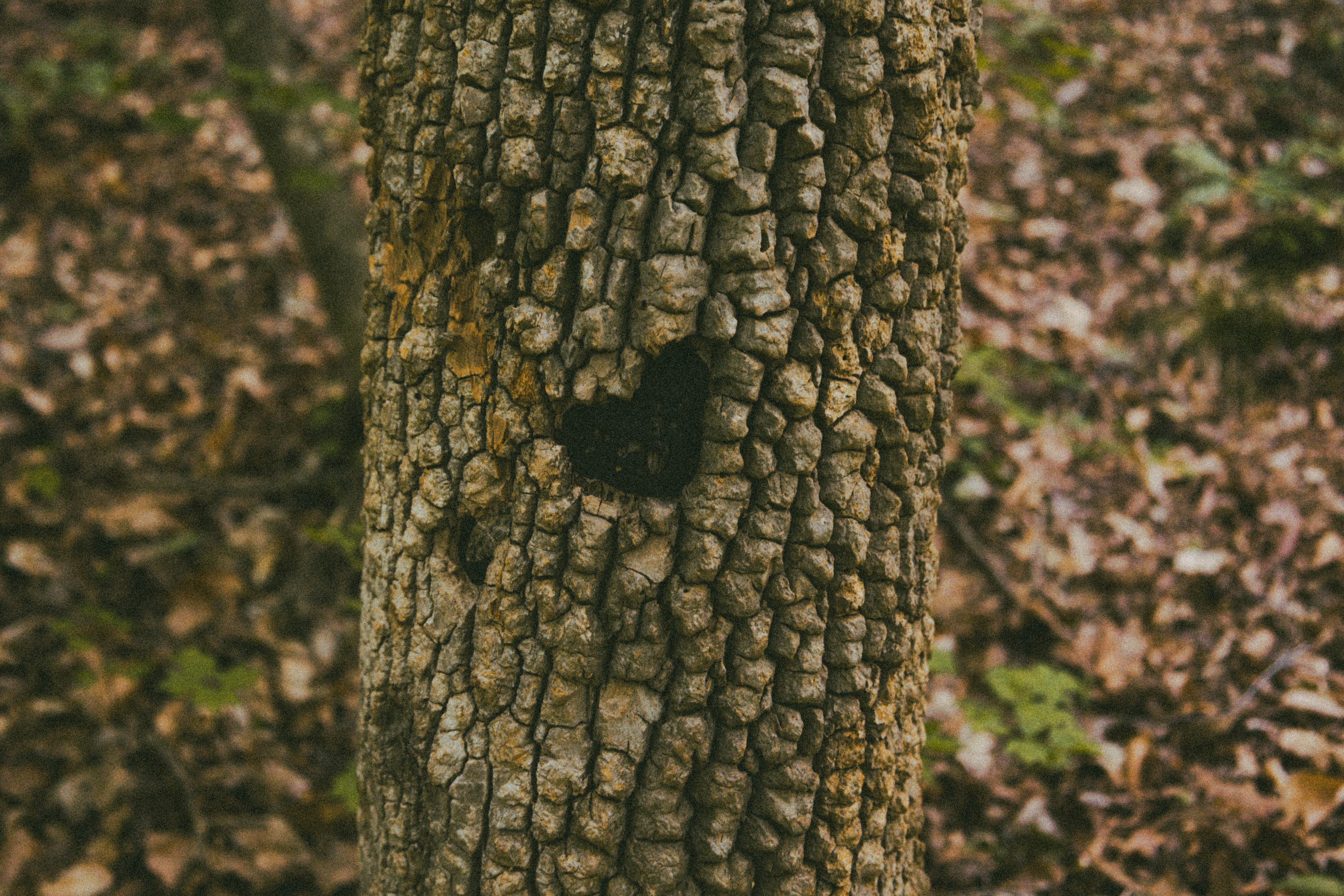 Photo by Brooke Balentine with Canon EOS R6