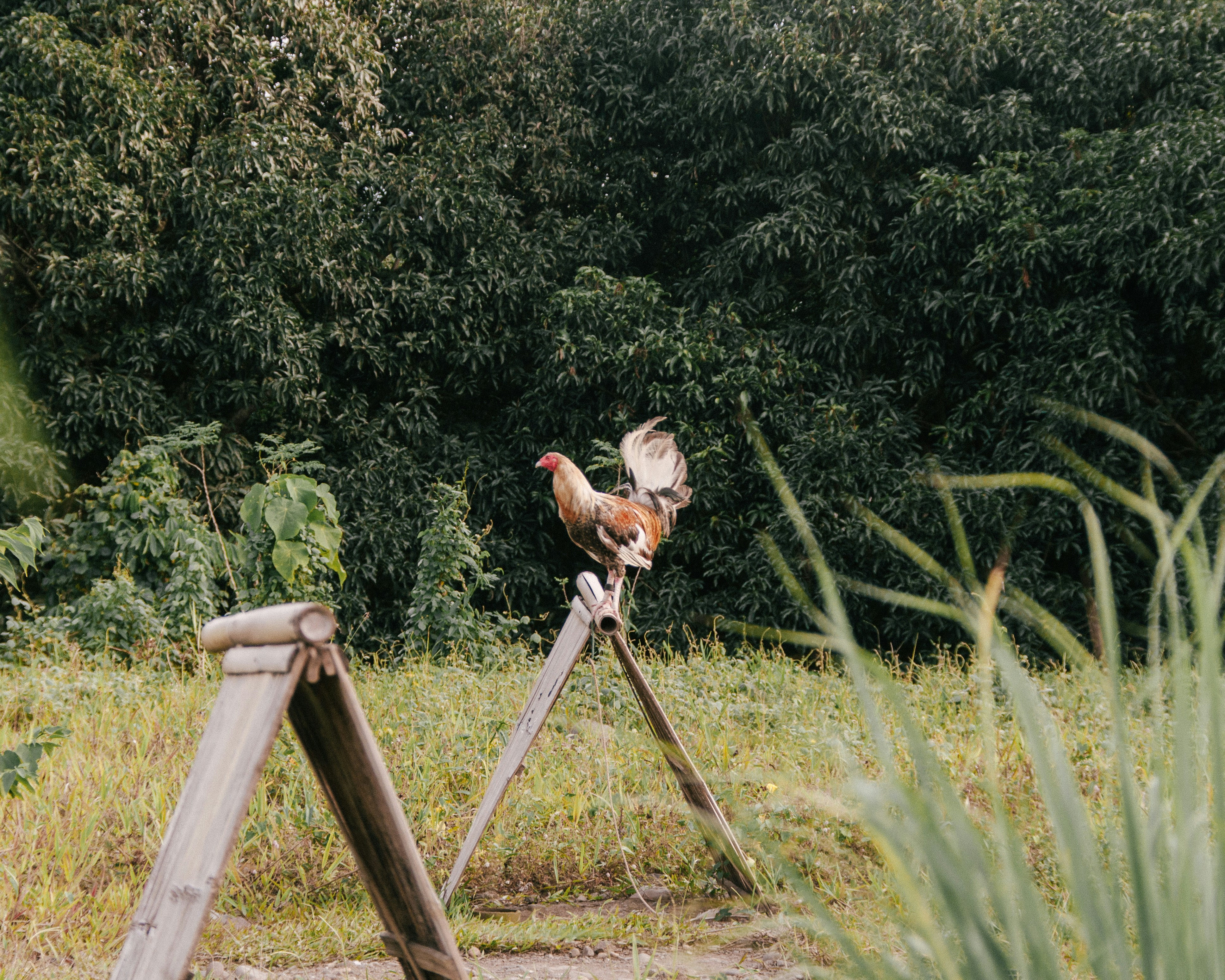 Andrew Sacriz (@andrewsqcriz) | Communauté photos Unsplash