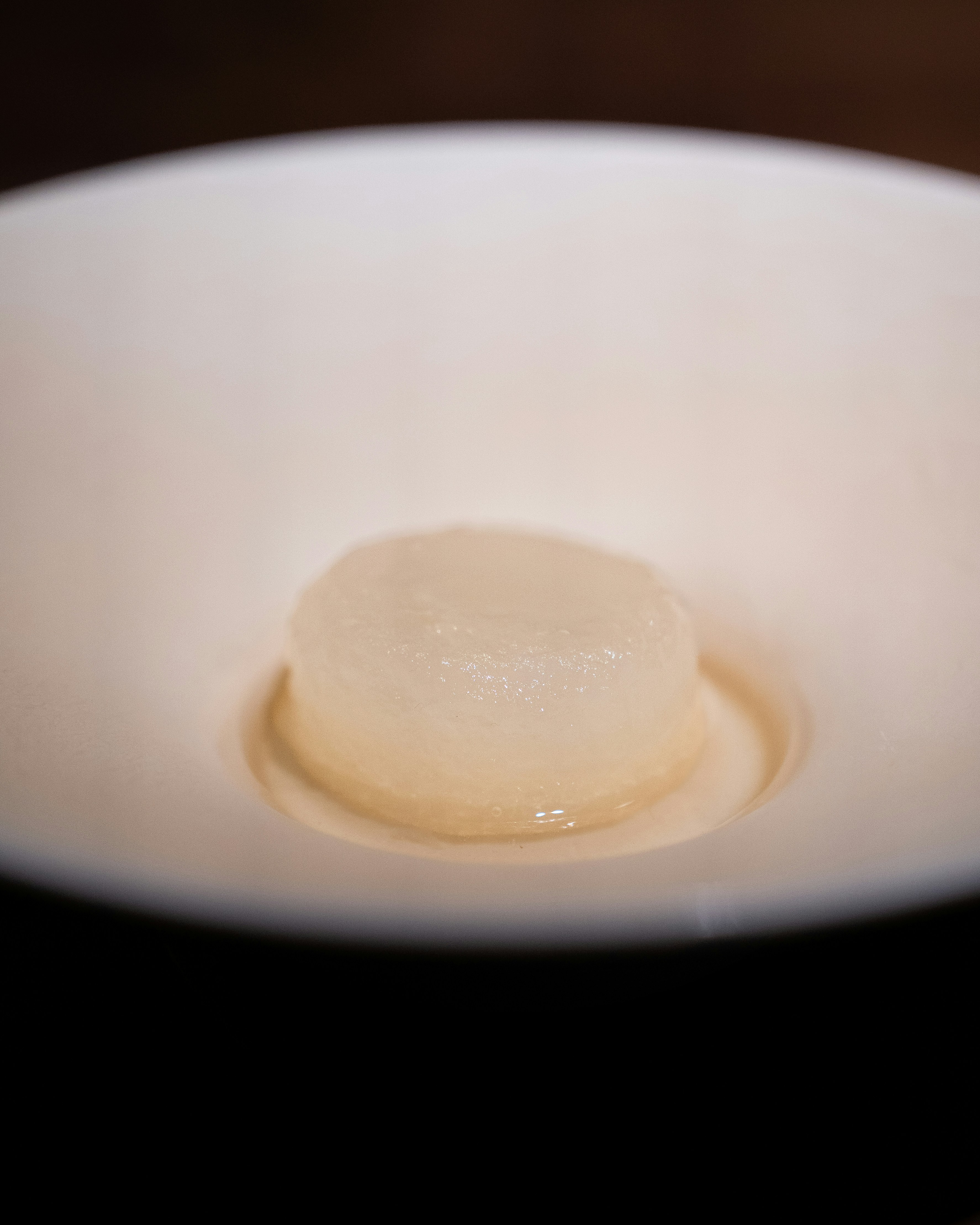 A translucent disc of culinary creation resting in a shallow white bowl, surrounded by a delicate sheen of liquid.