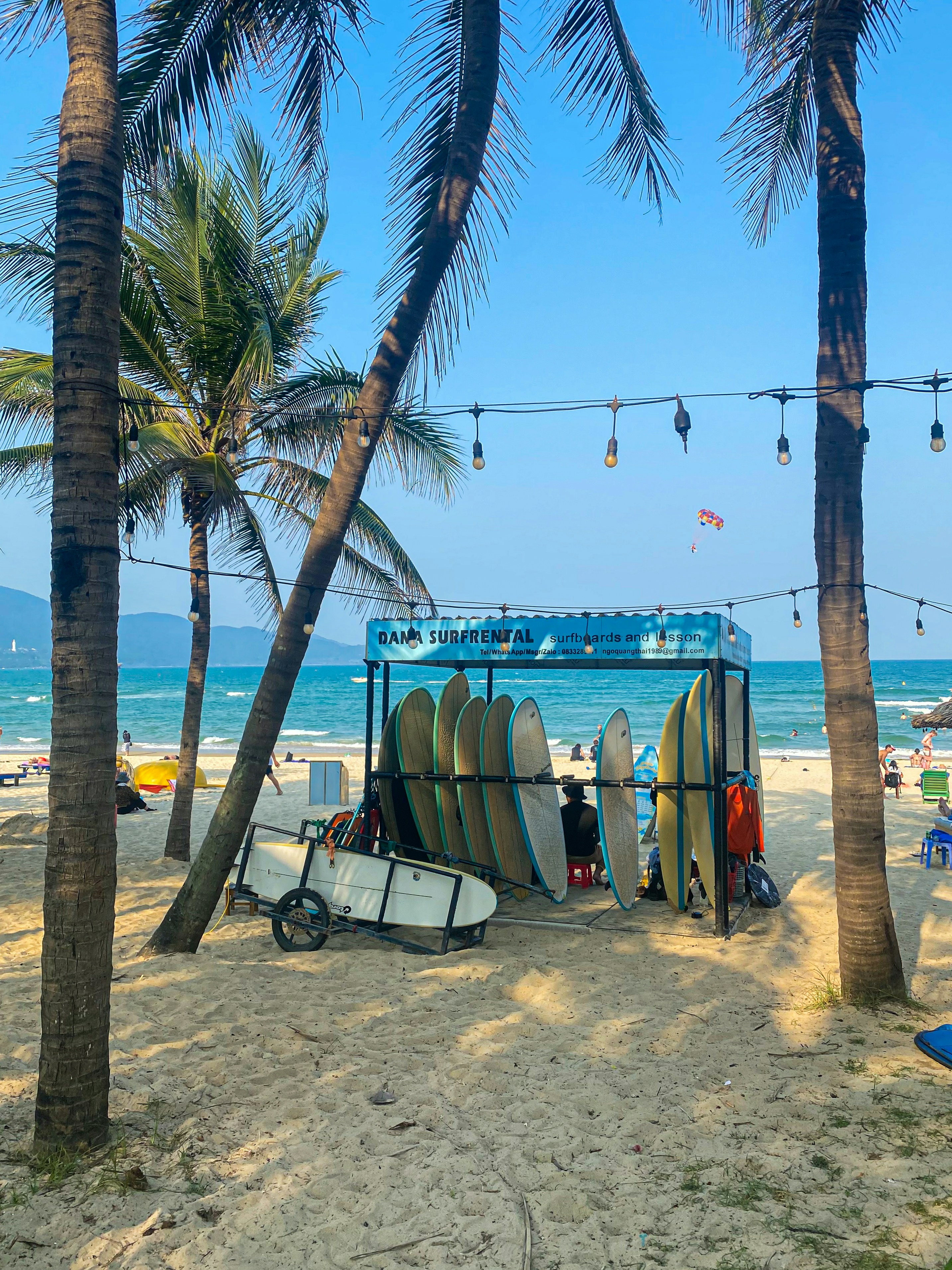 Surf Shack Under Palm Canopy: Surfboards Ready by a Sunlit Shore