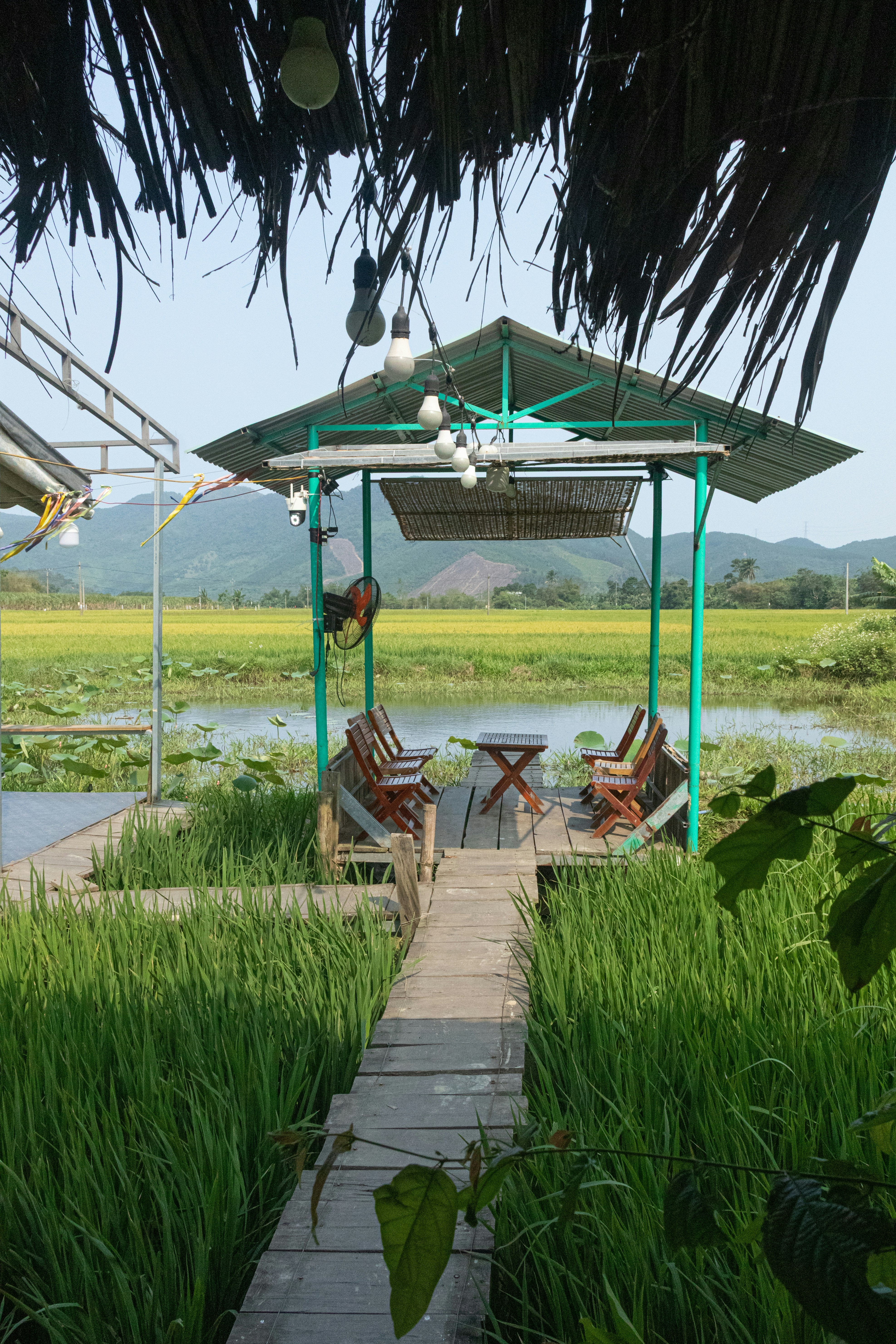 Verdant Riverside Retreat: A Shaded Terrace by the Paddy Field