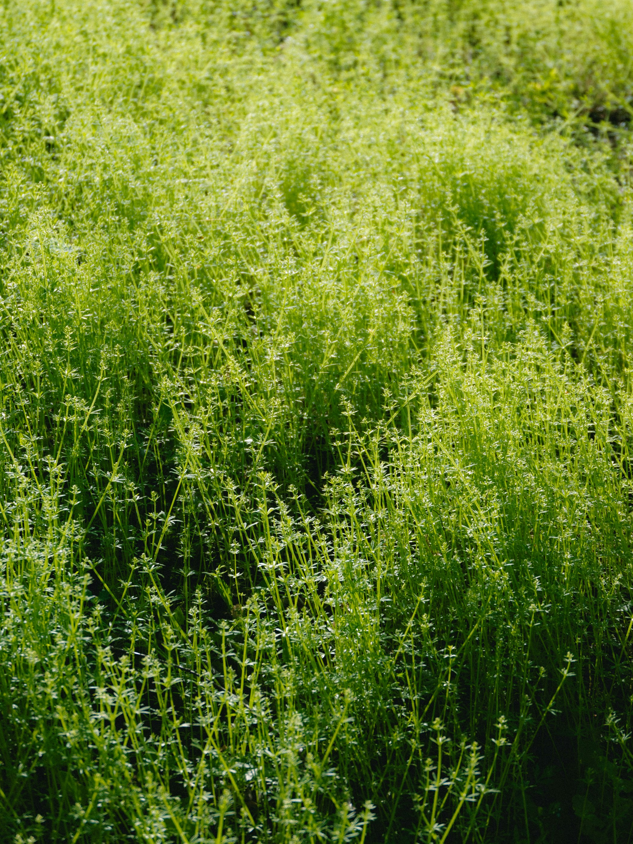 Photo by inyoung jung with Nikon Zfc