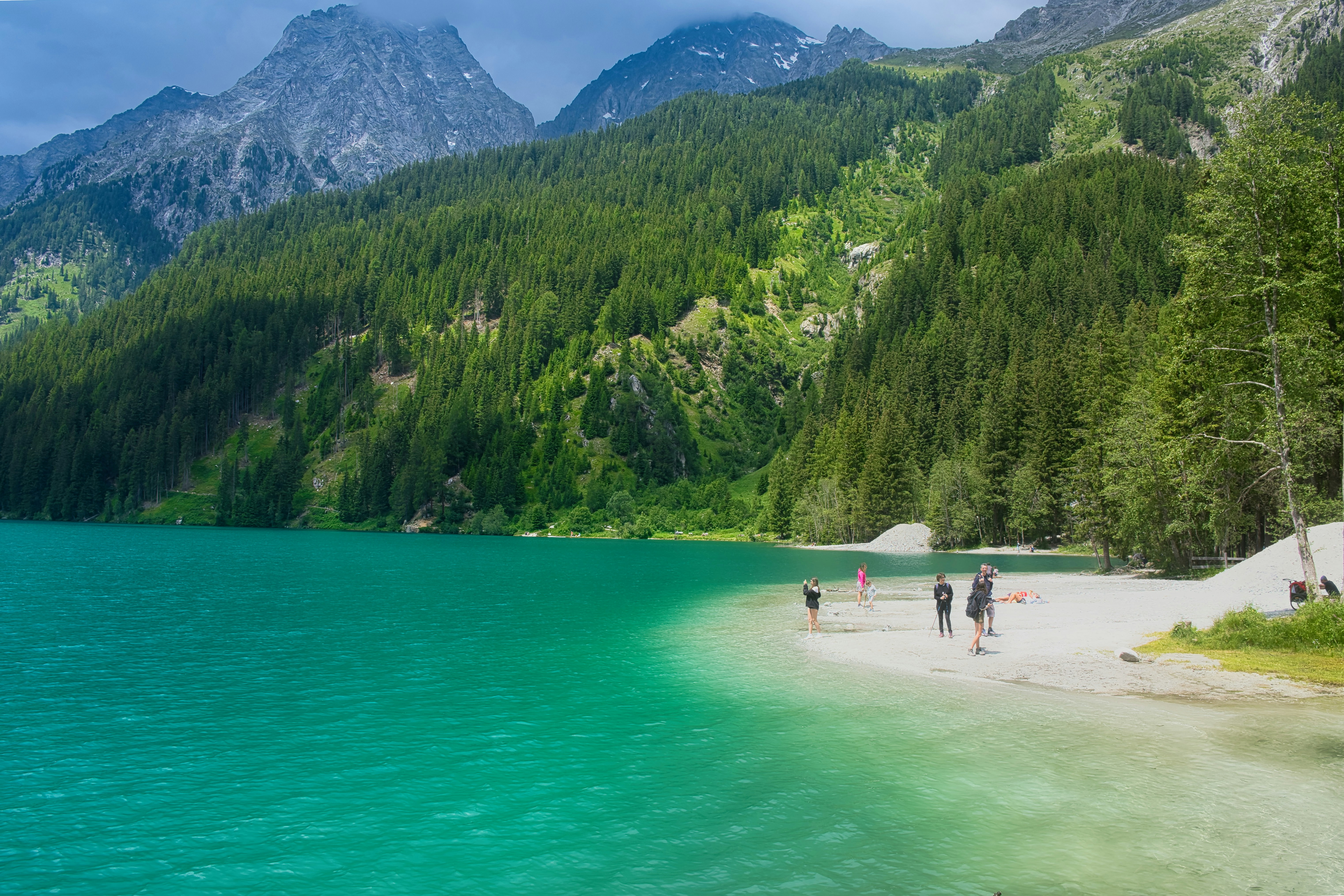 Turquoise Alpine Shoreline: A Quiet Gathering by Emerald Waters