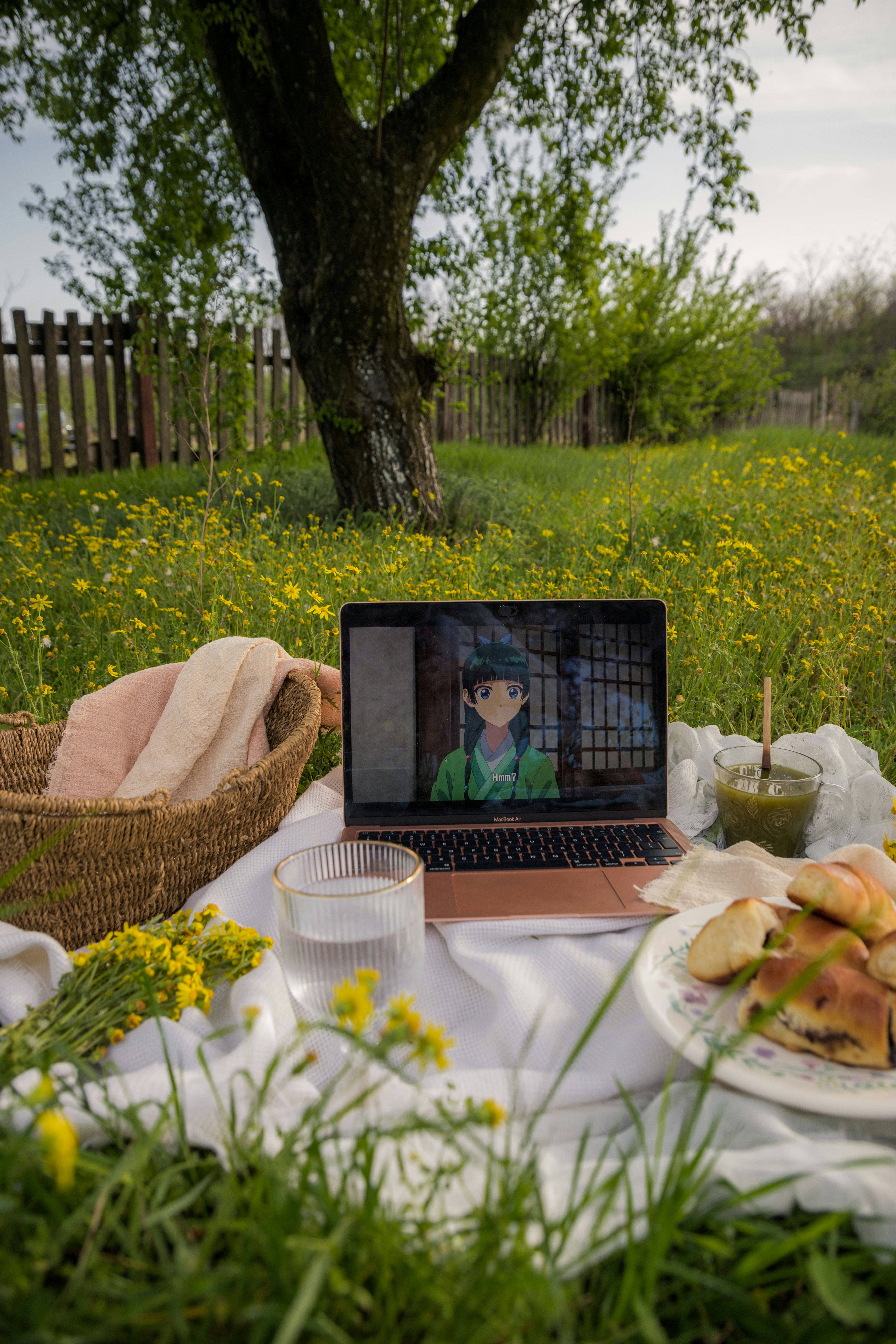 Meadow Picnic: Laptop Screenlit Moment Amid Wildflowers