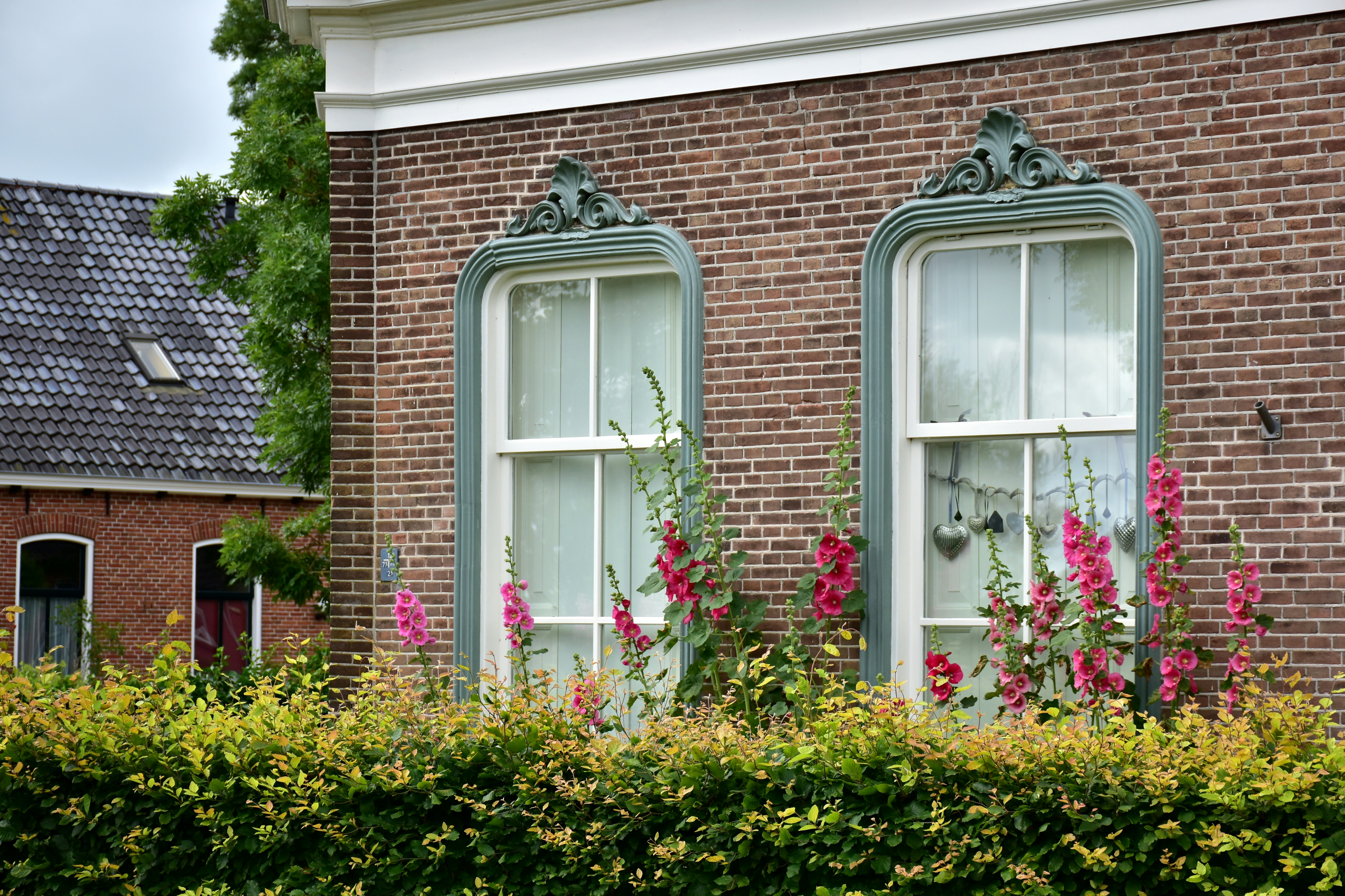 Hollyhocks for a brick house (Architecture - Holland)