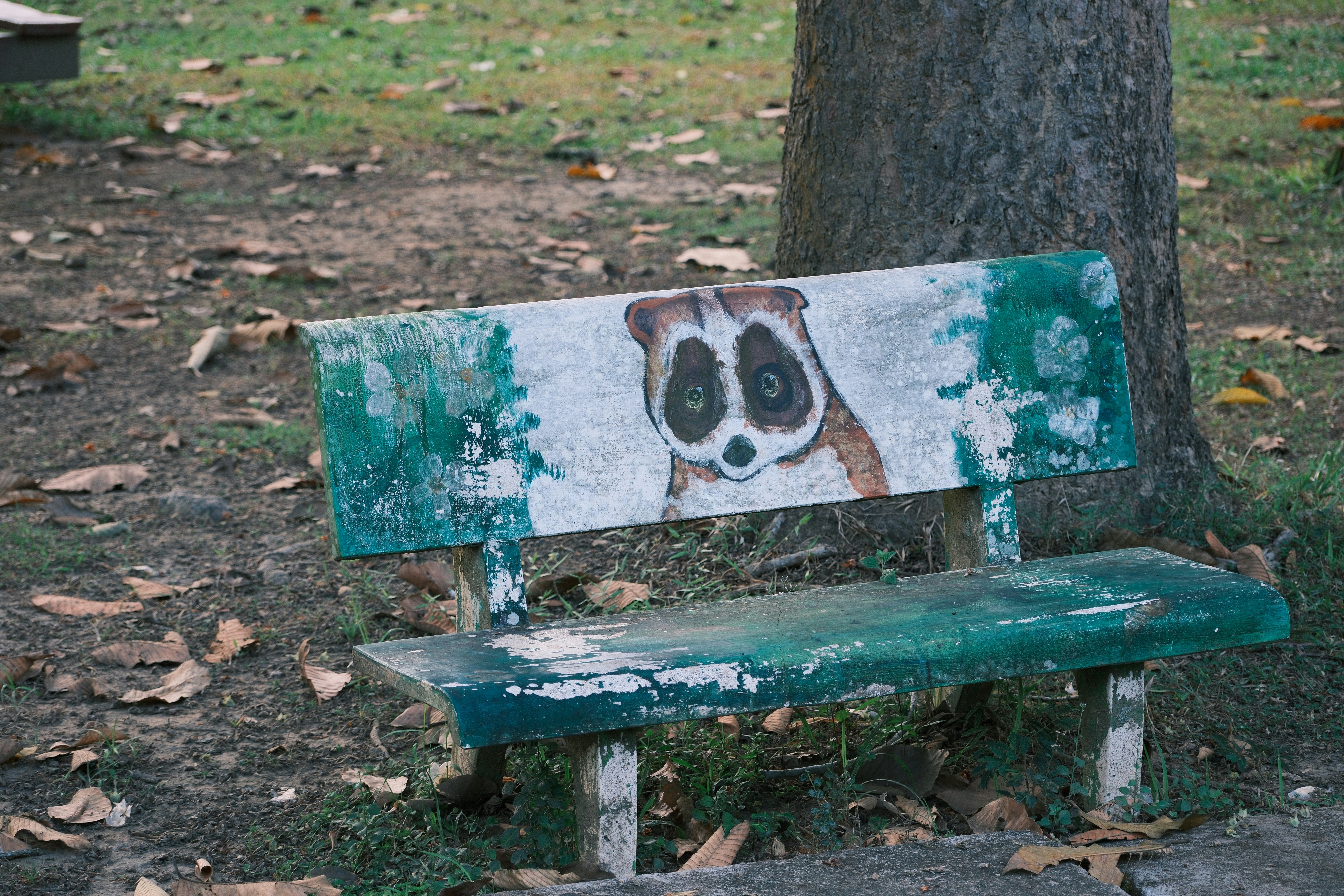 Photo by Duc Van with Fujifilm X-T5