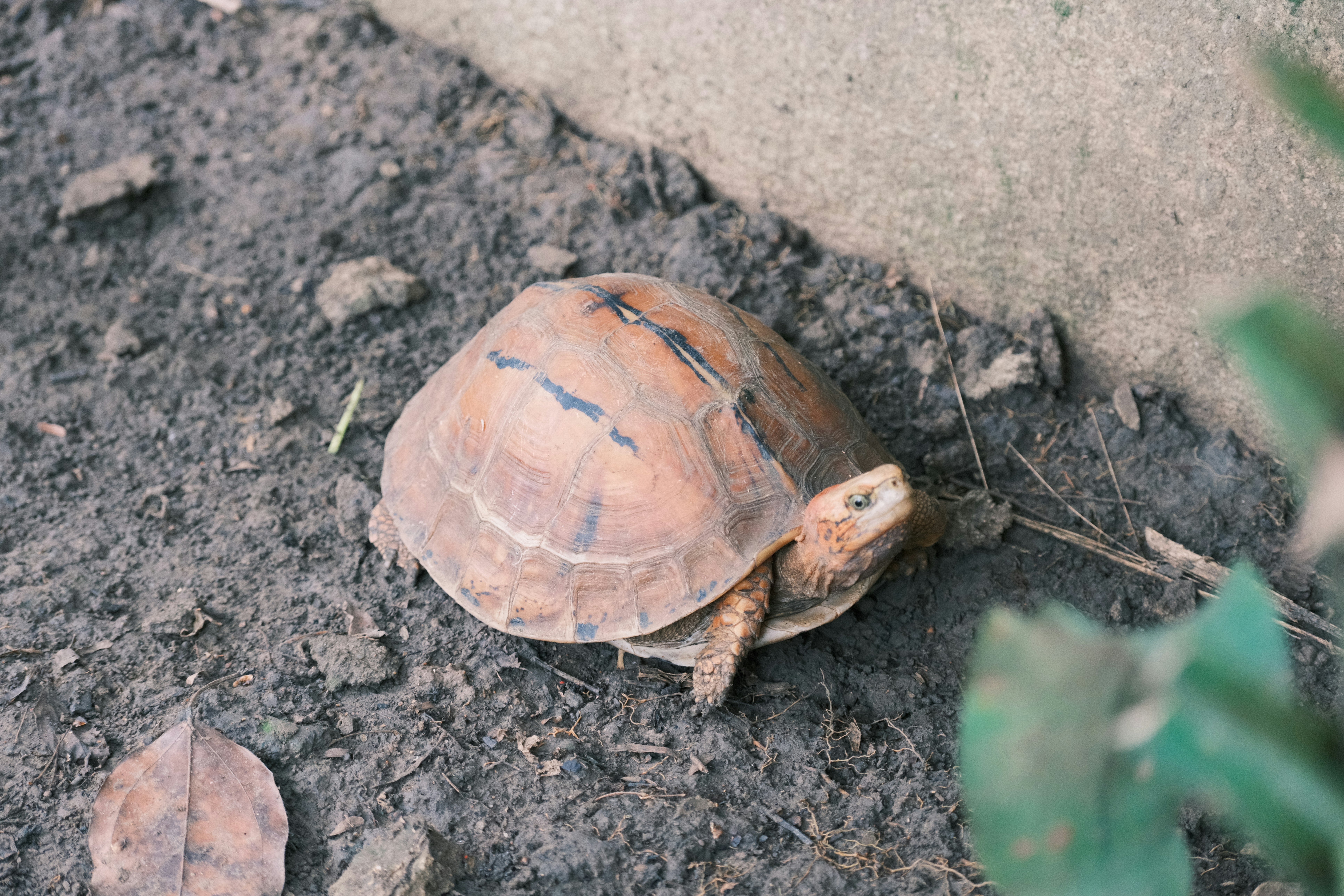 Photo by Duc Van with Fujifilm X-T5