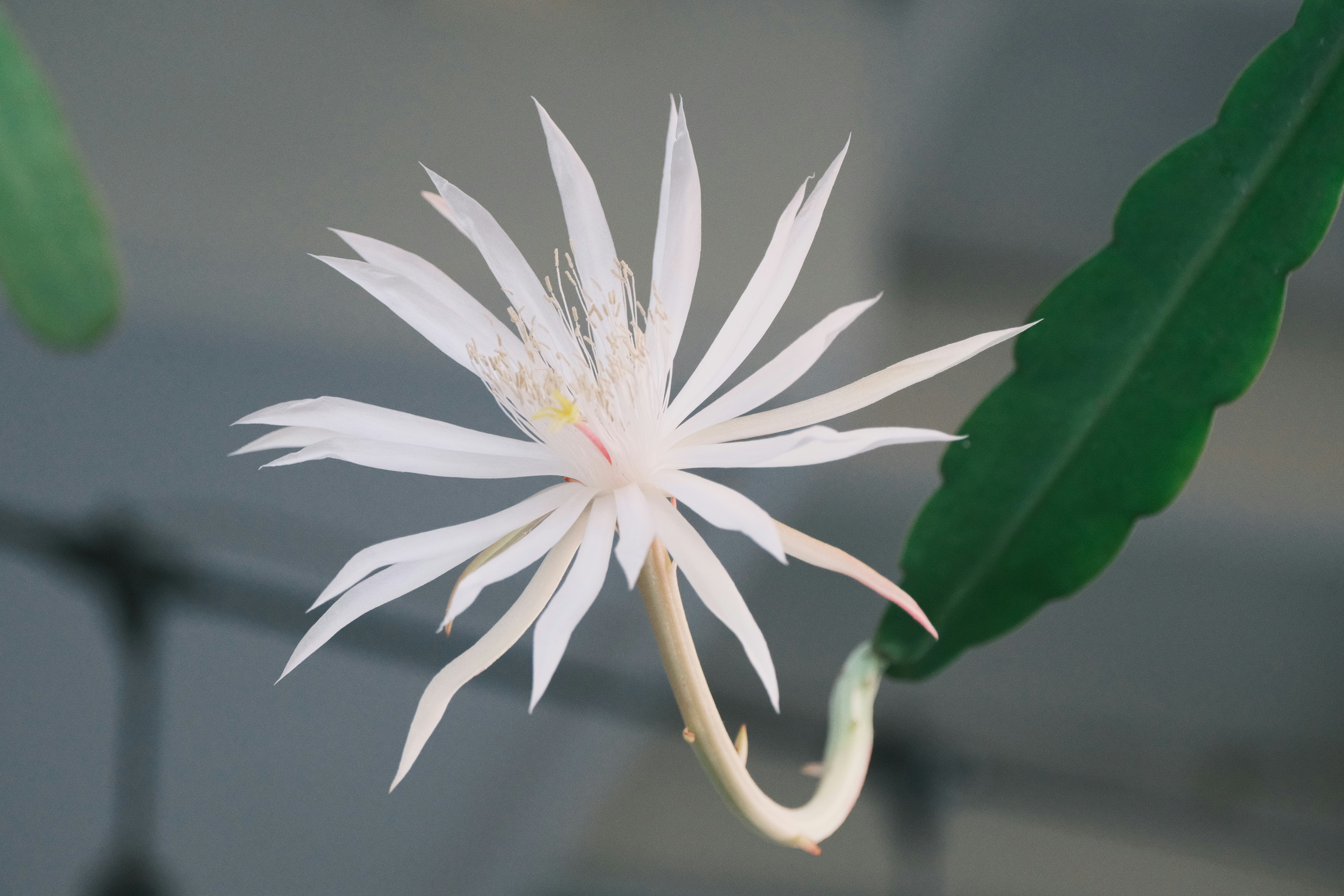 Photo by Duc Van with Fujifilm X-T5