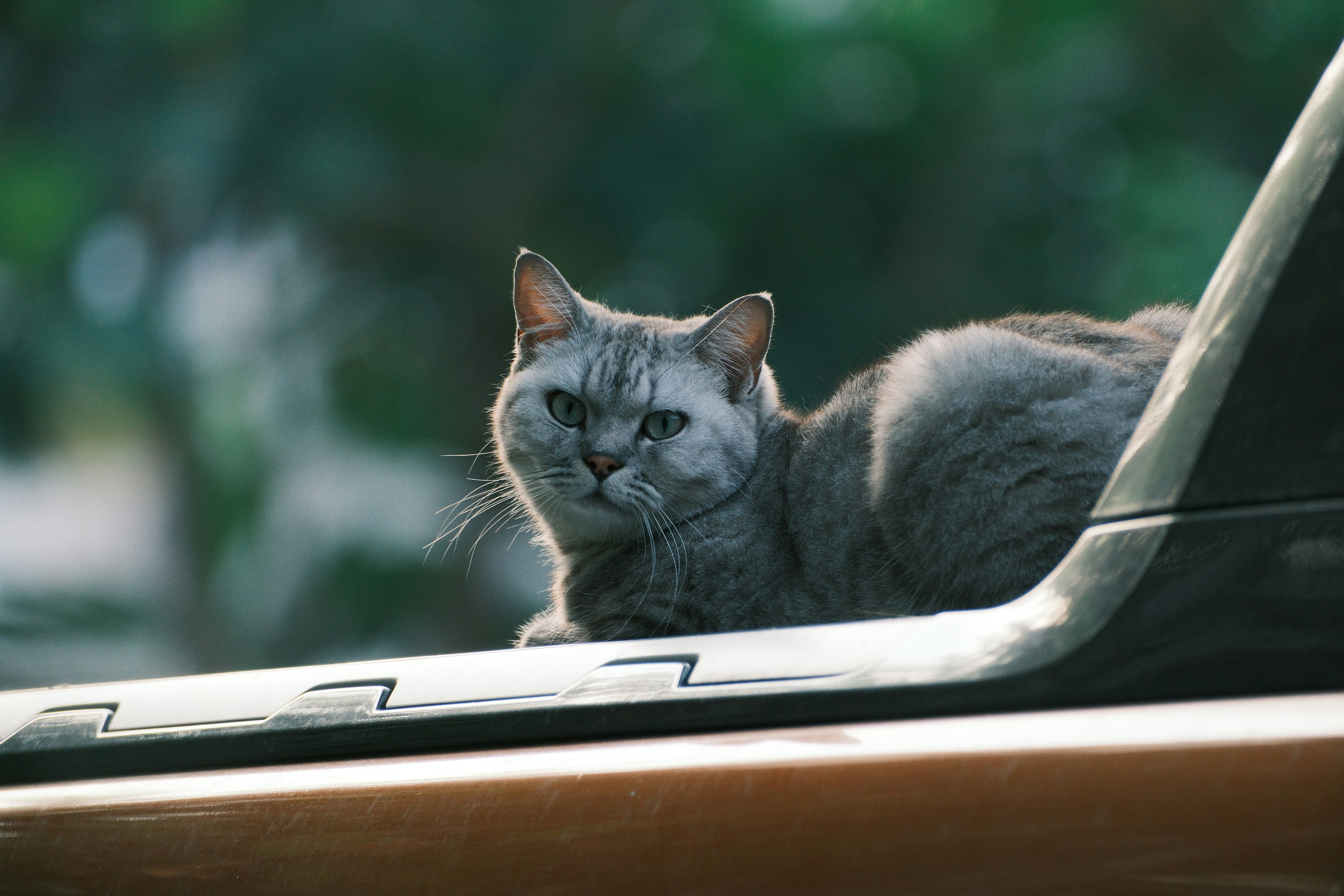 Photo by Duc Van with Fujifilm X-T5