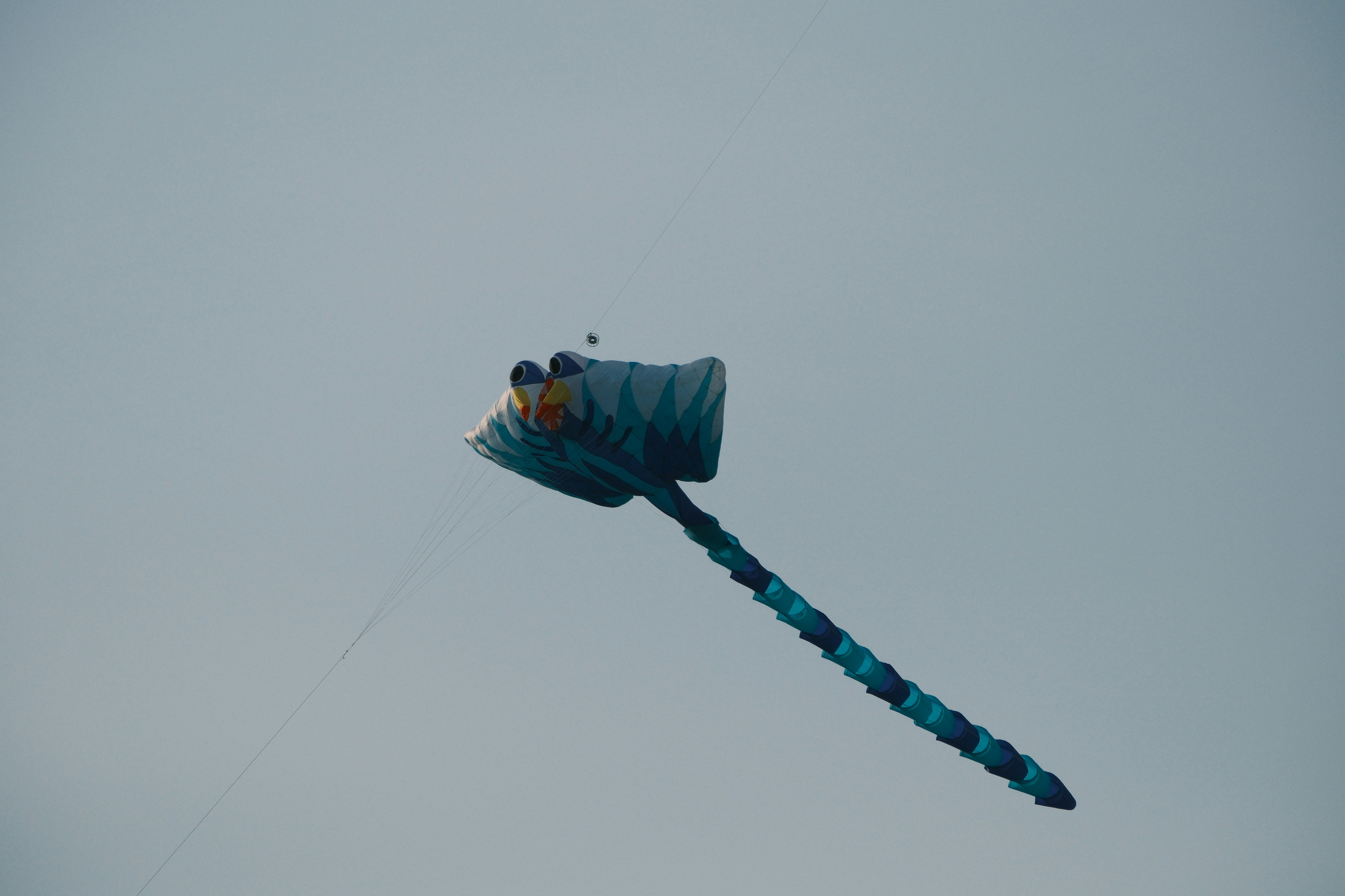 Photo by Duc Van with Fujifilm X-T5