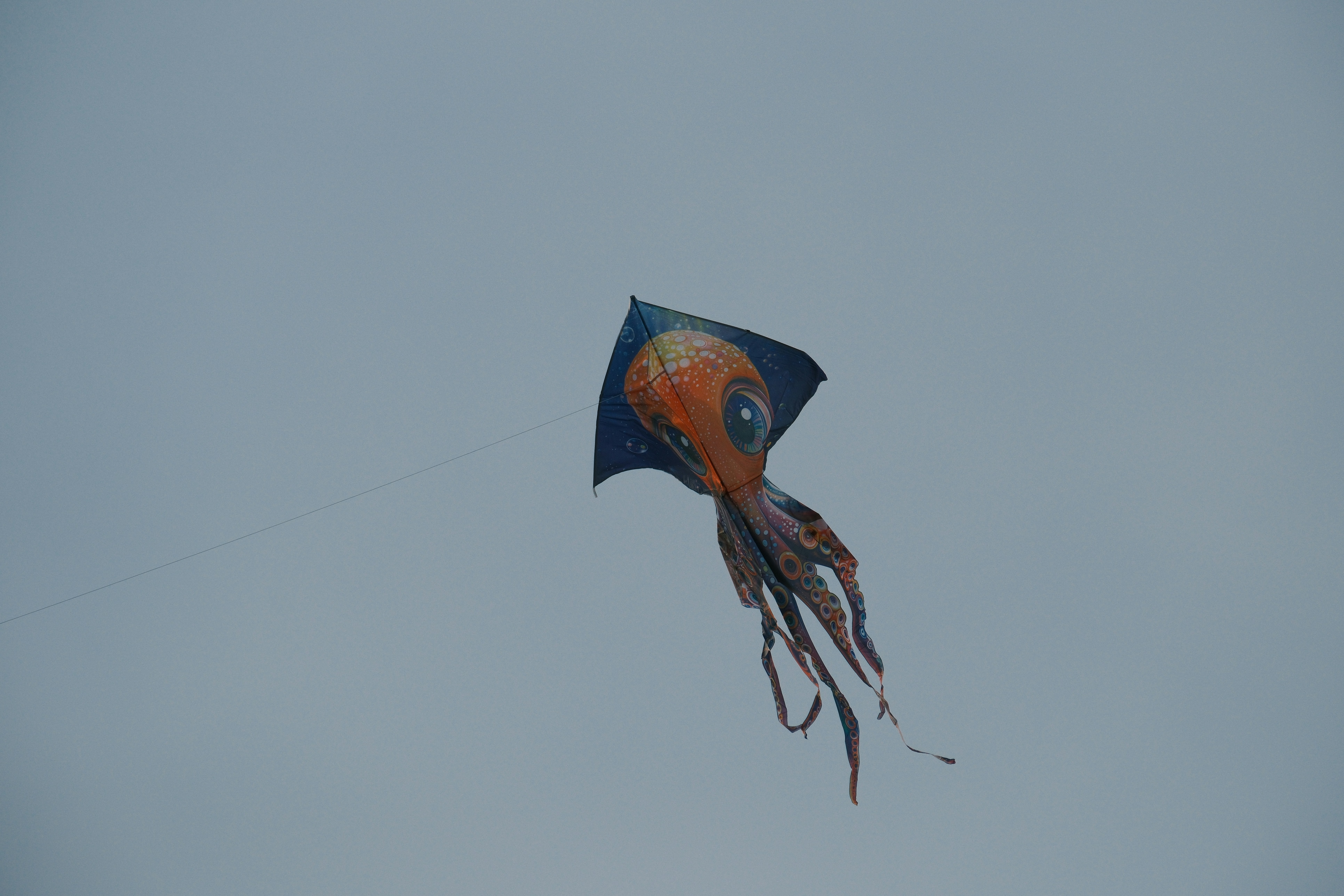 Photo by Duc Van with Fujifilm X-T5