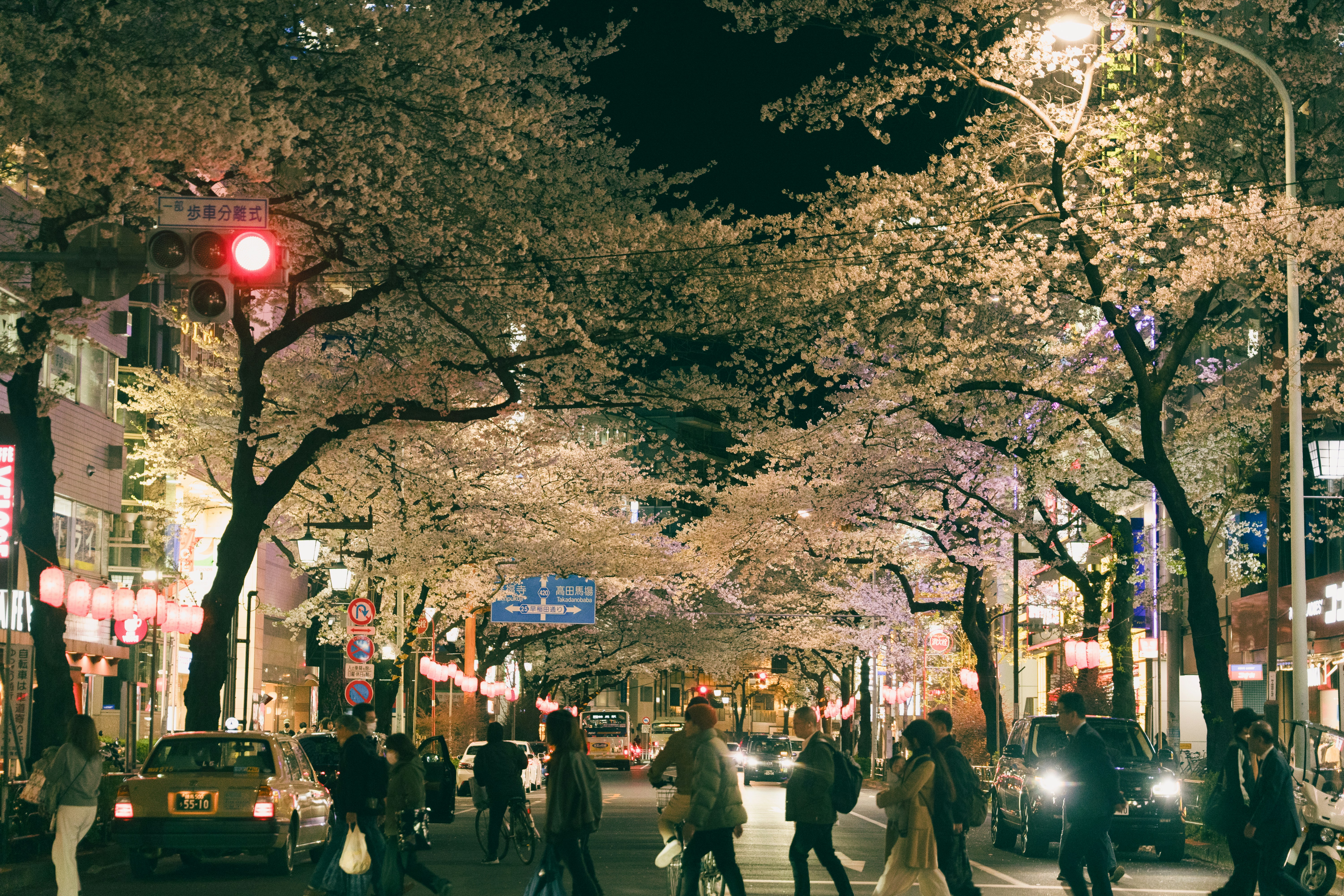 Photo by ayumi kubo with Sony Alpha 7C