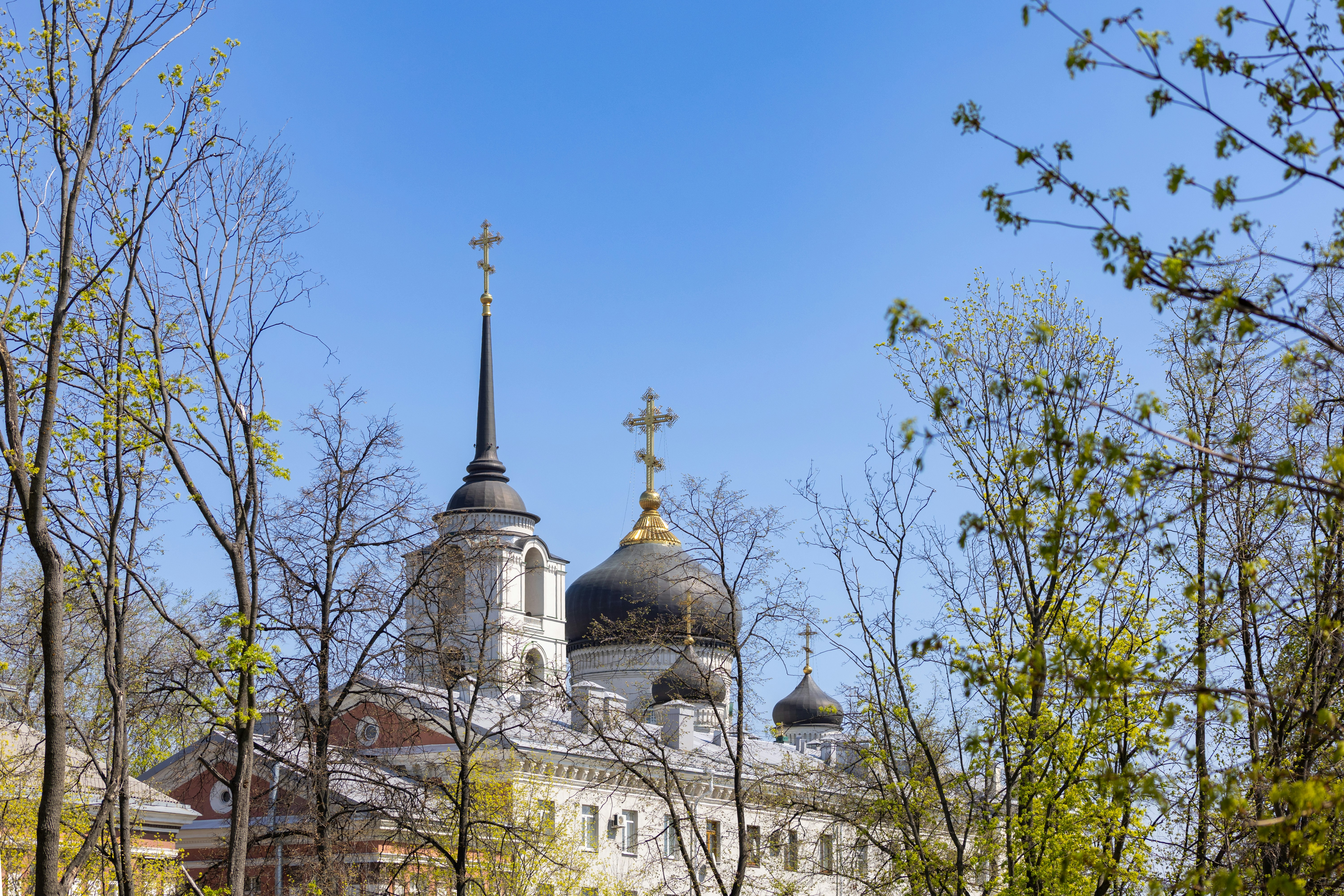 Church towers and domes are framed by tree branches. photo – Free ...