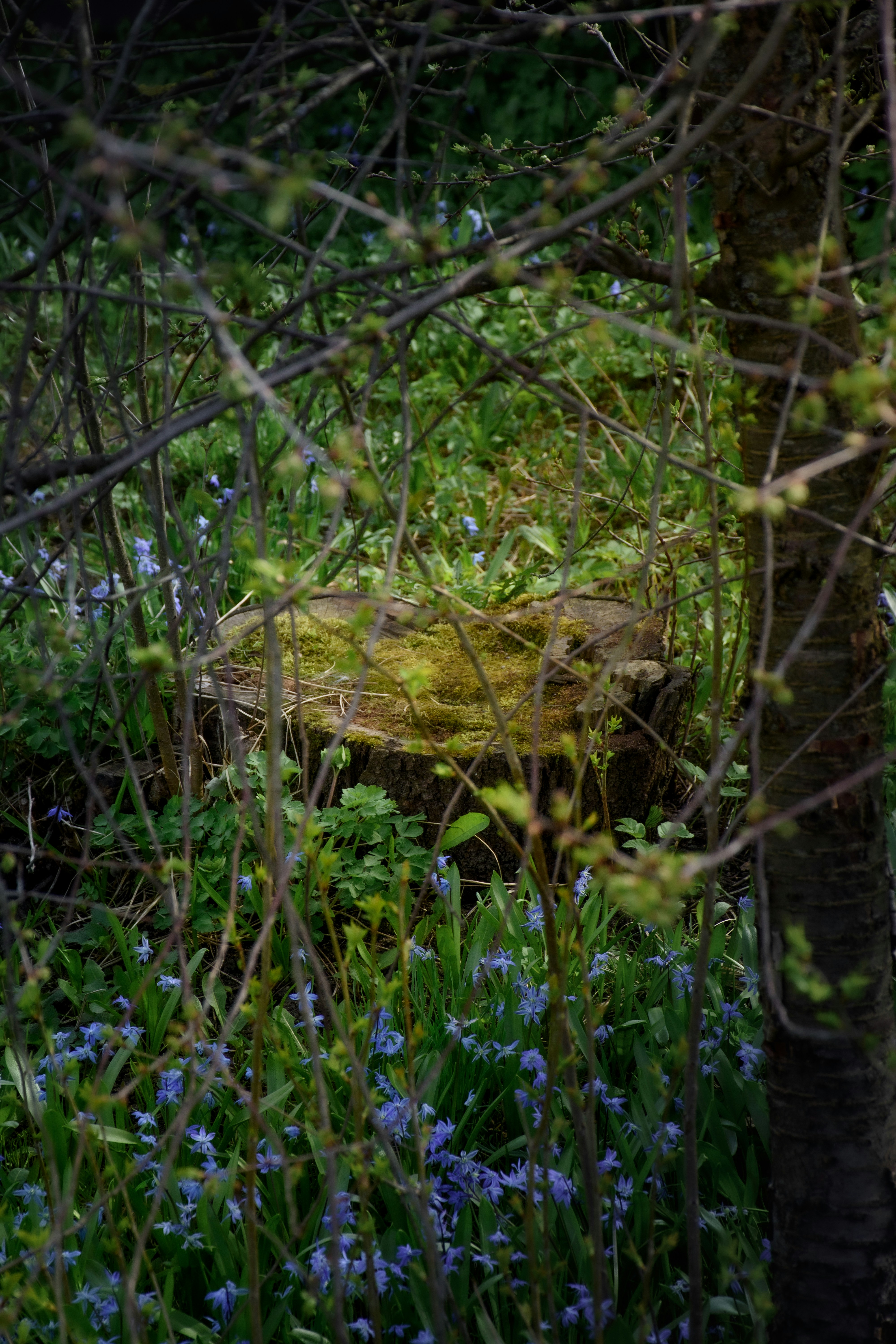 Photo by Polina Pavlova with Nikon D7200