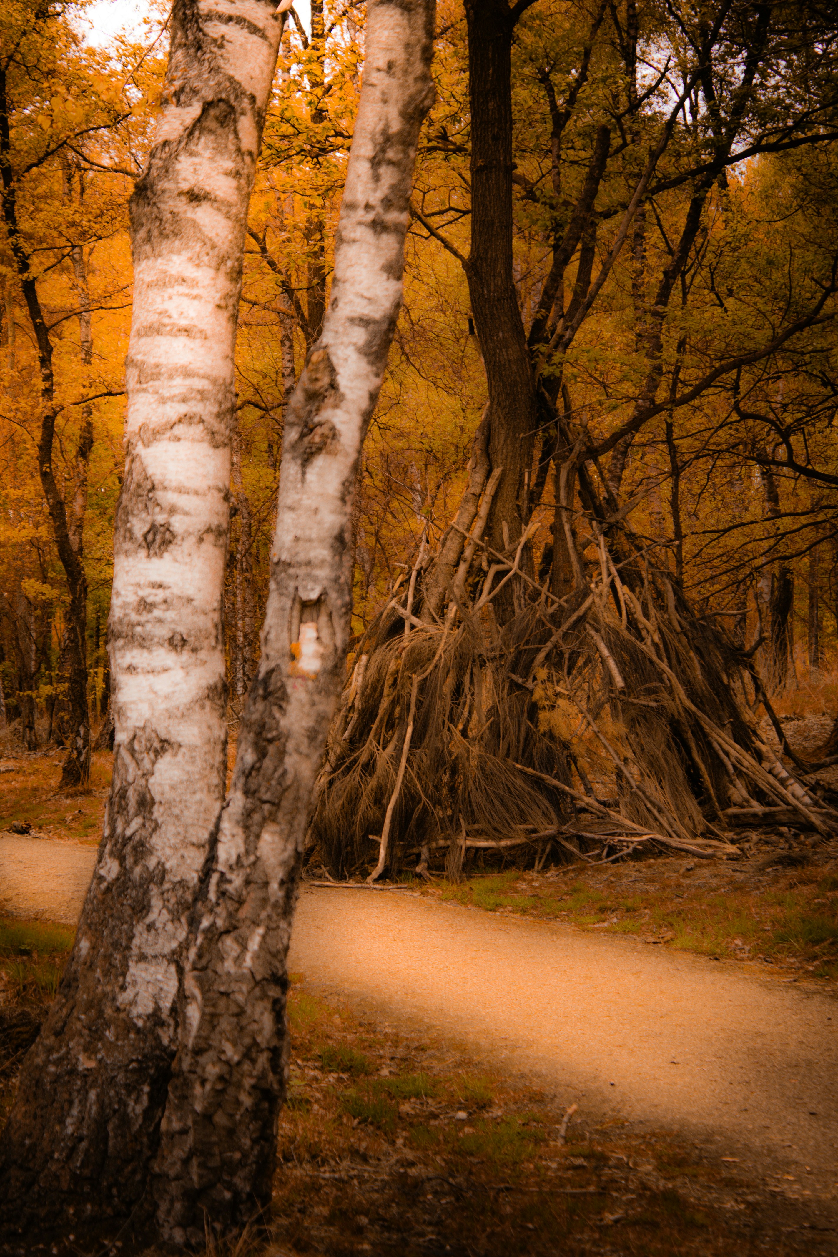 Ellysa Jordens (@ellysa__) | Comunidade de fotos da Unsplash