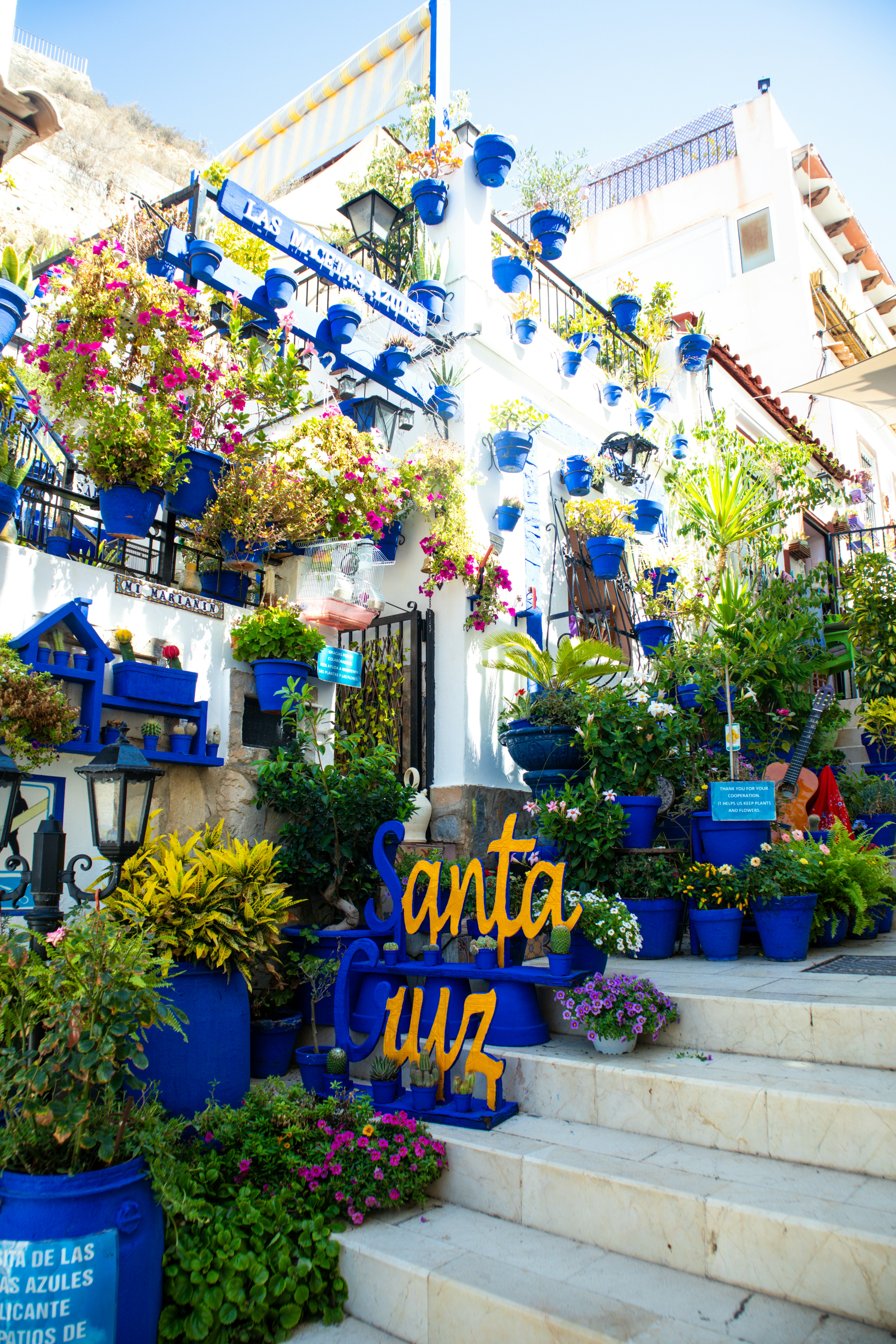 Blue-Note Oasis: A Staircase of Blue Pots and Bright Florals