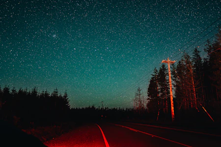 Whispers of the Night Sky